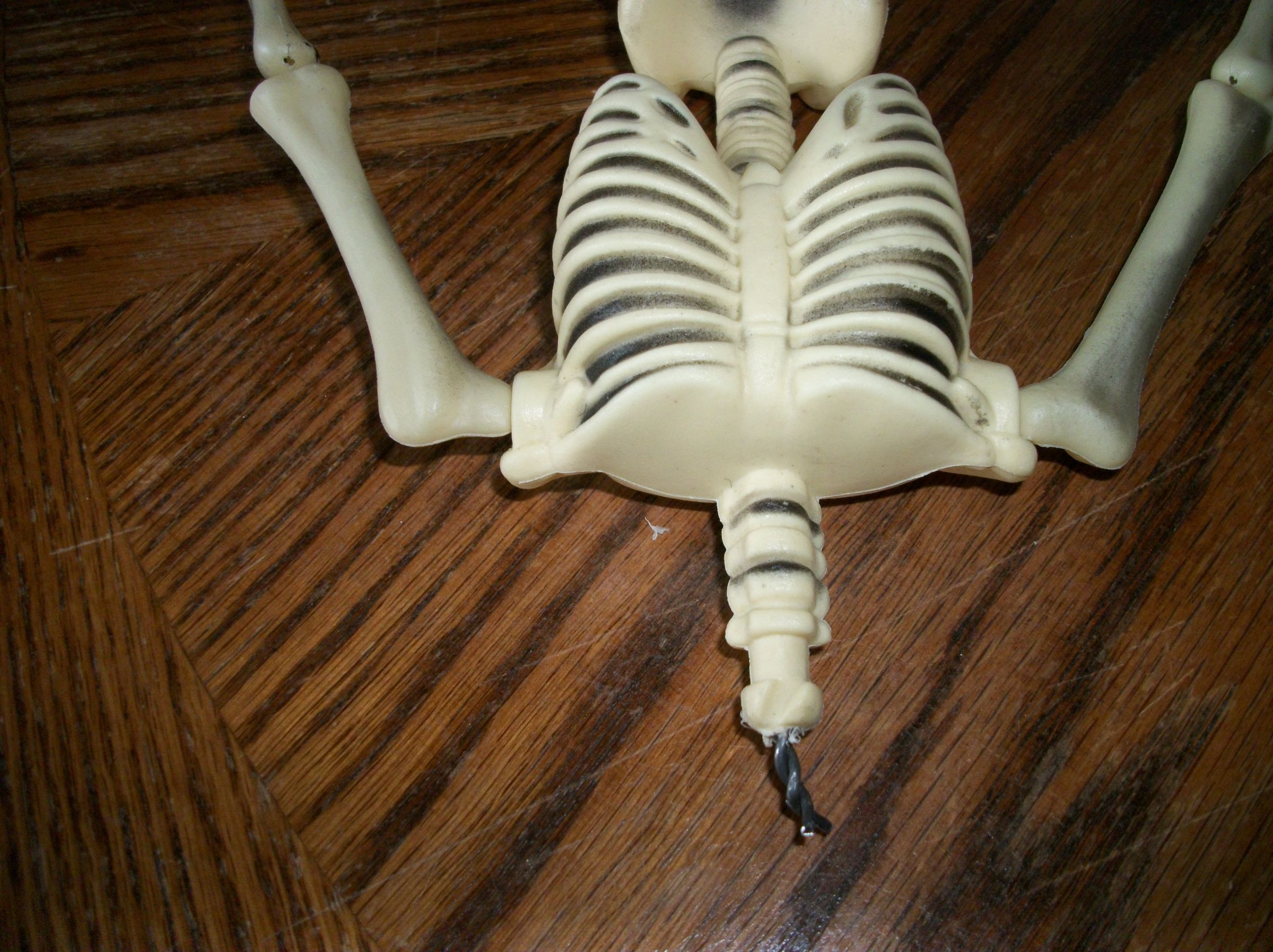 Posable Skelly : 5 Steps (with Pictures) - Instructables