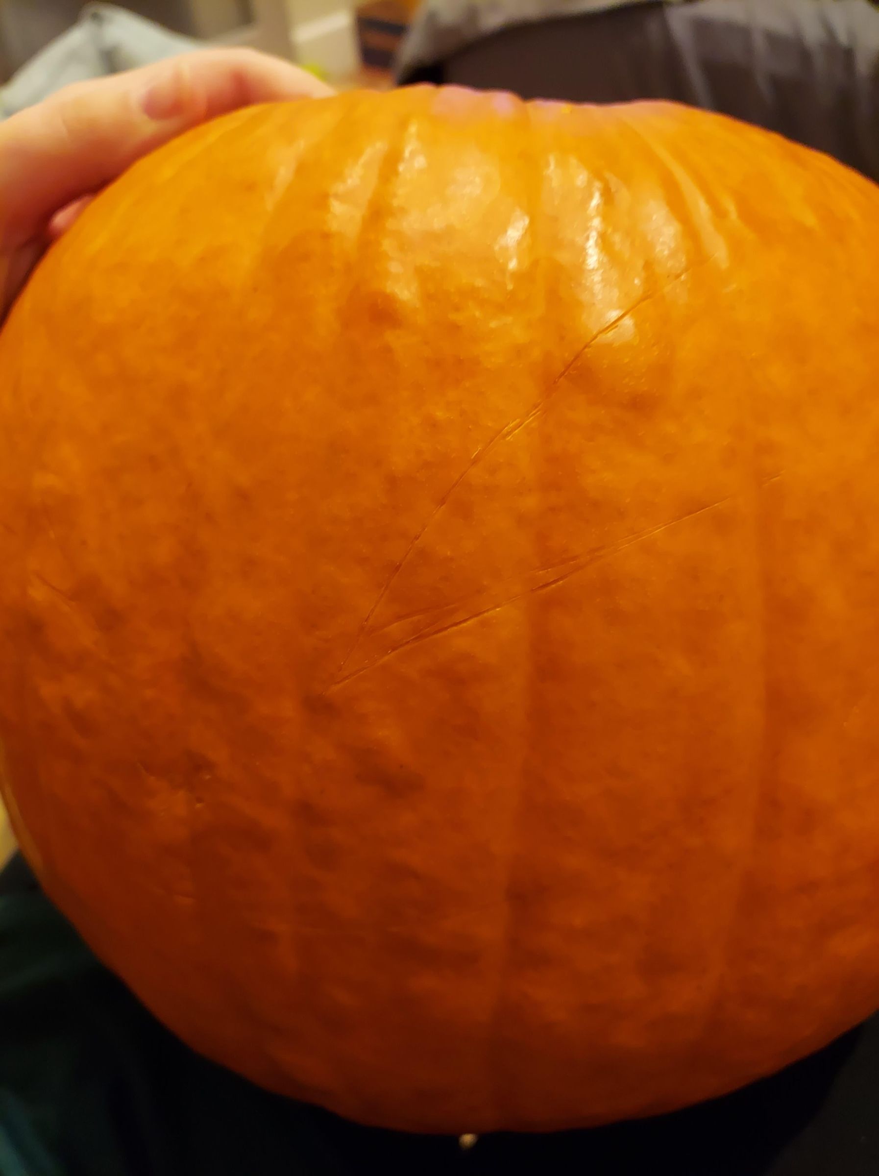 Cross-Stitched & Embroidered Pumpkins : 12 Steps (with Pictures ...