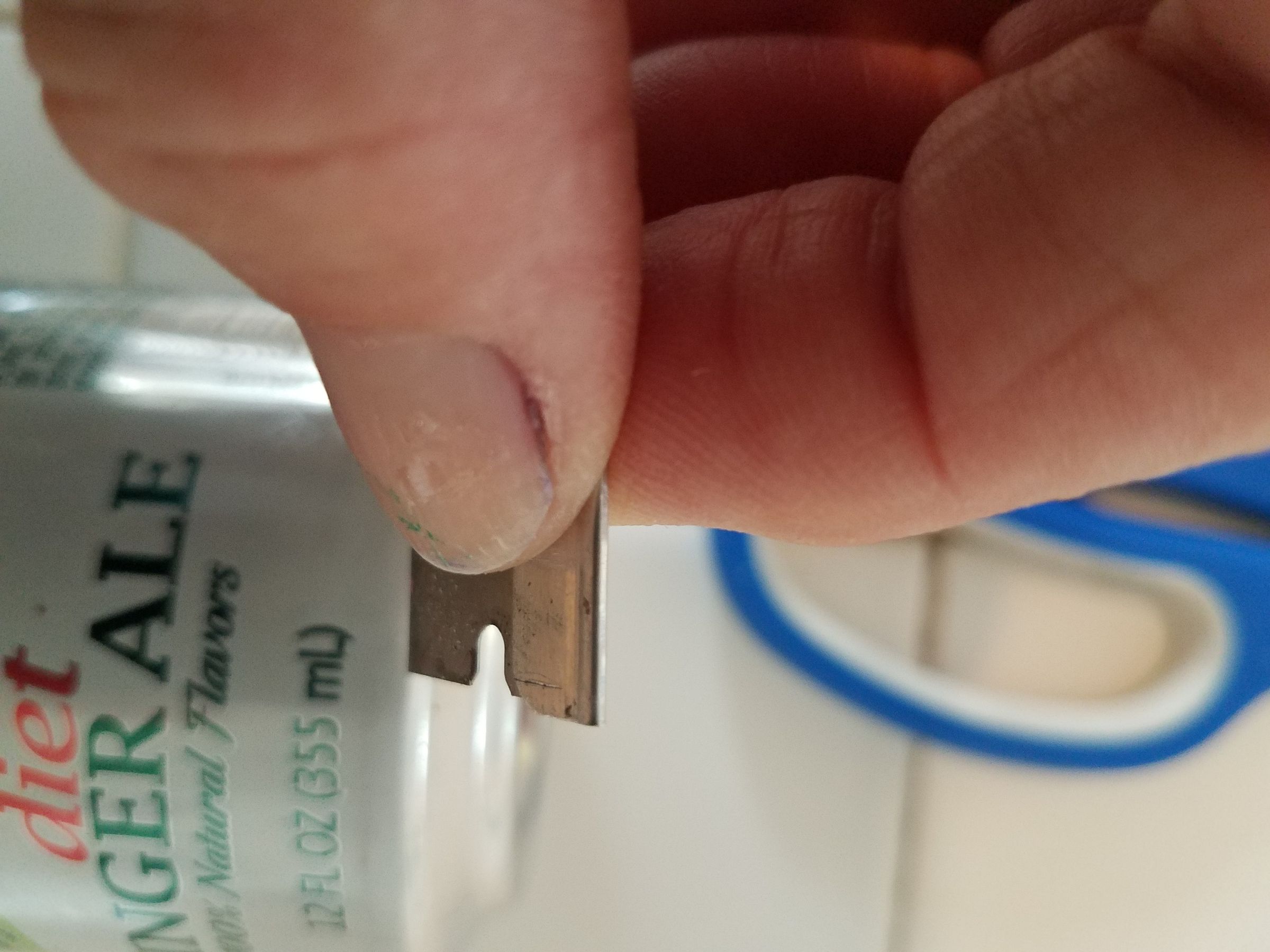 Flower Garden Spinner : 8 Steps (with Pictures) - Instructables