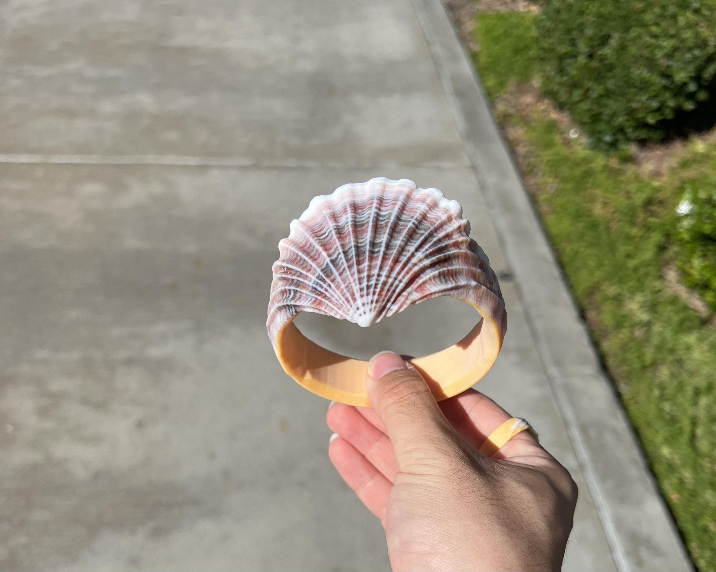 Seashell Ring : 7 Steps - Instructables