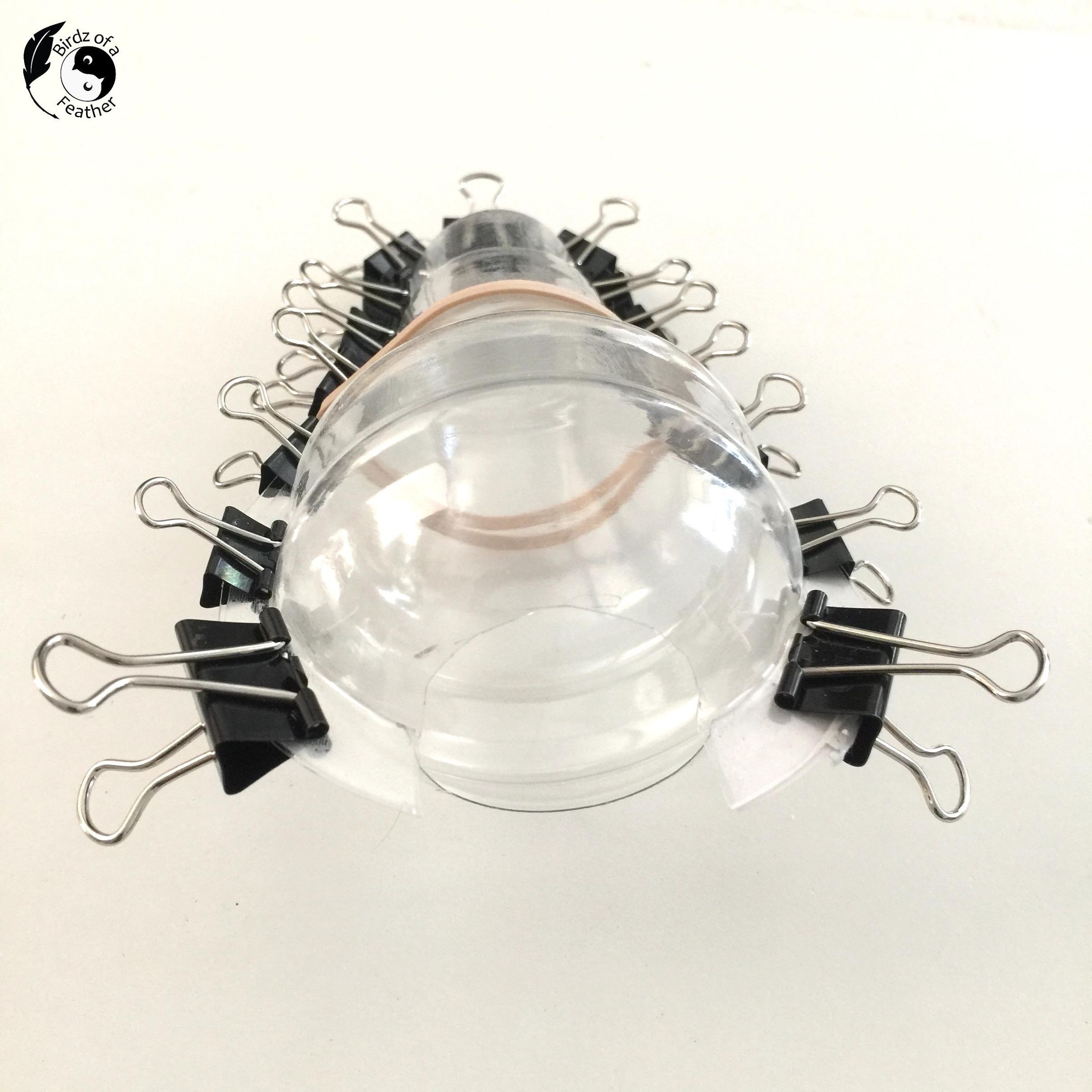 How to Make a Lightbulb Planter From Plastic Packaging! : 9 Steps (with ...