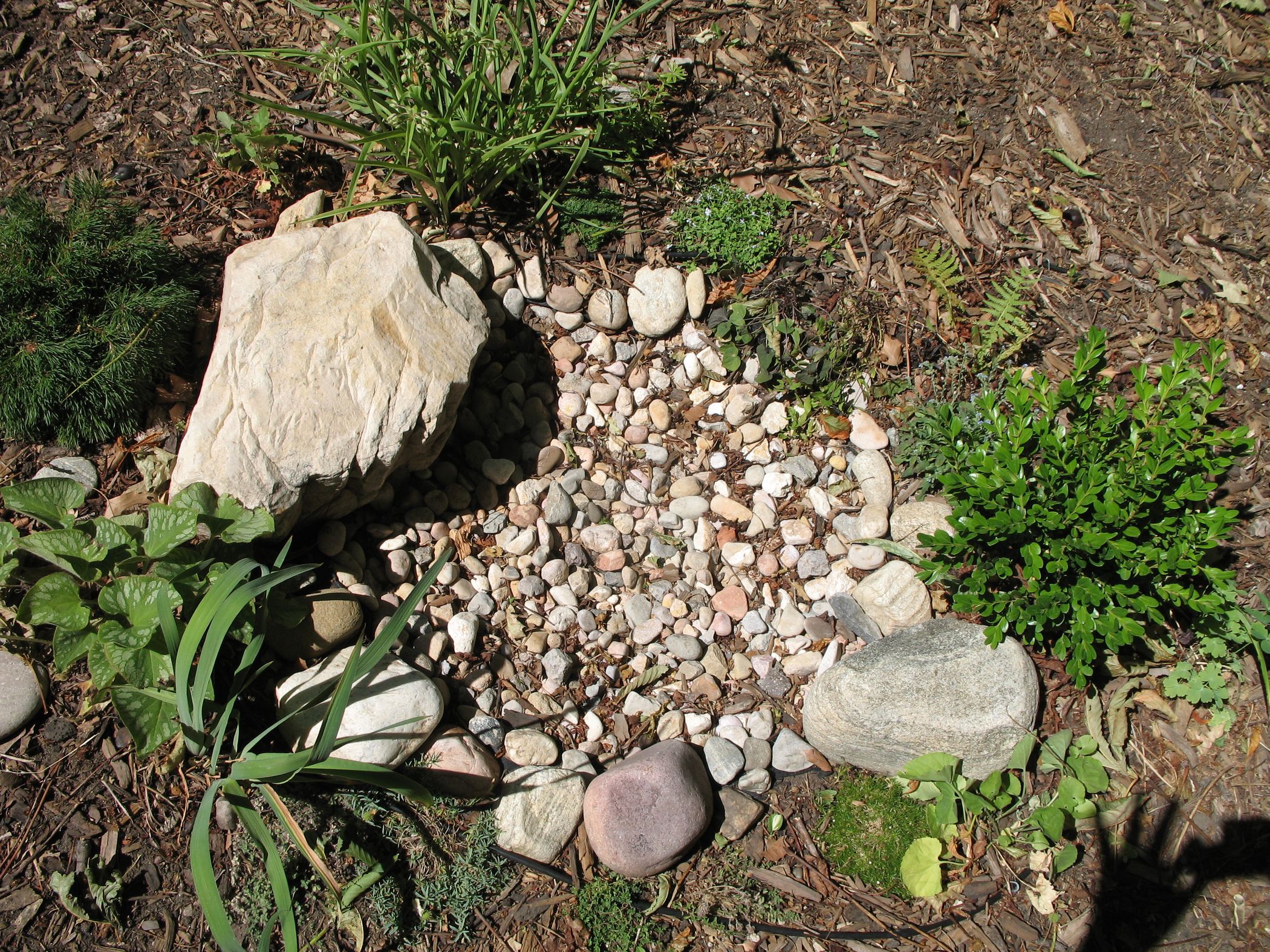 How to Make a Dry Pond : 8 Steps - Instructables