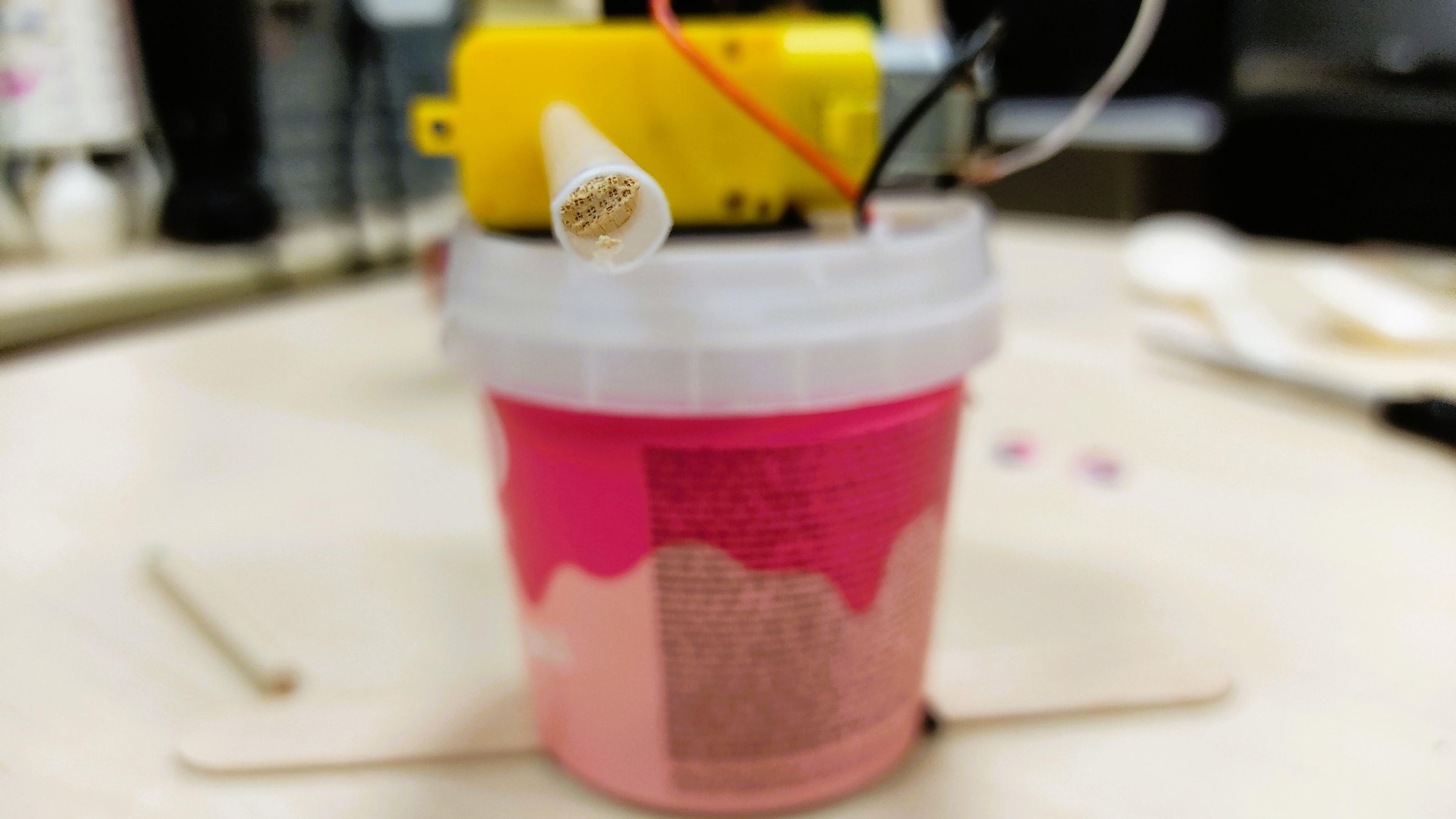 Robotics for School: Create Four Easy Robots Using Simple Materials ...