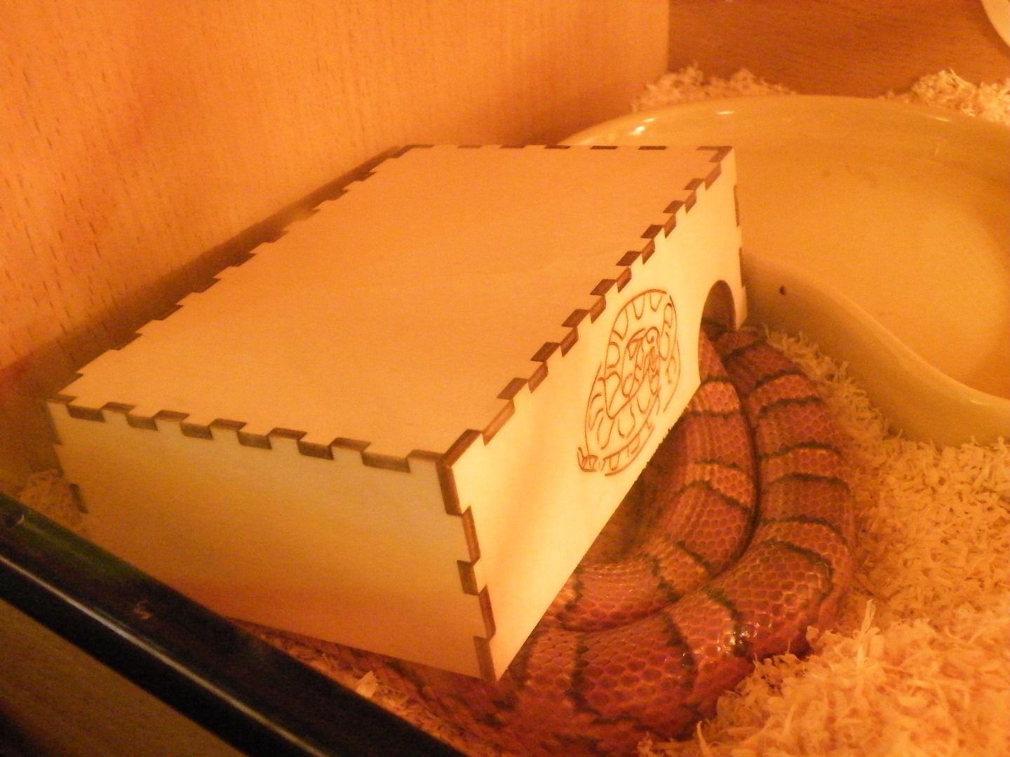 Simple Snake Home : 5 Steps (with Pictures) - Instructables