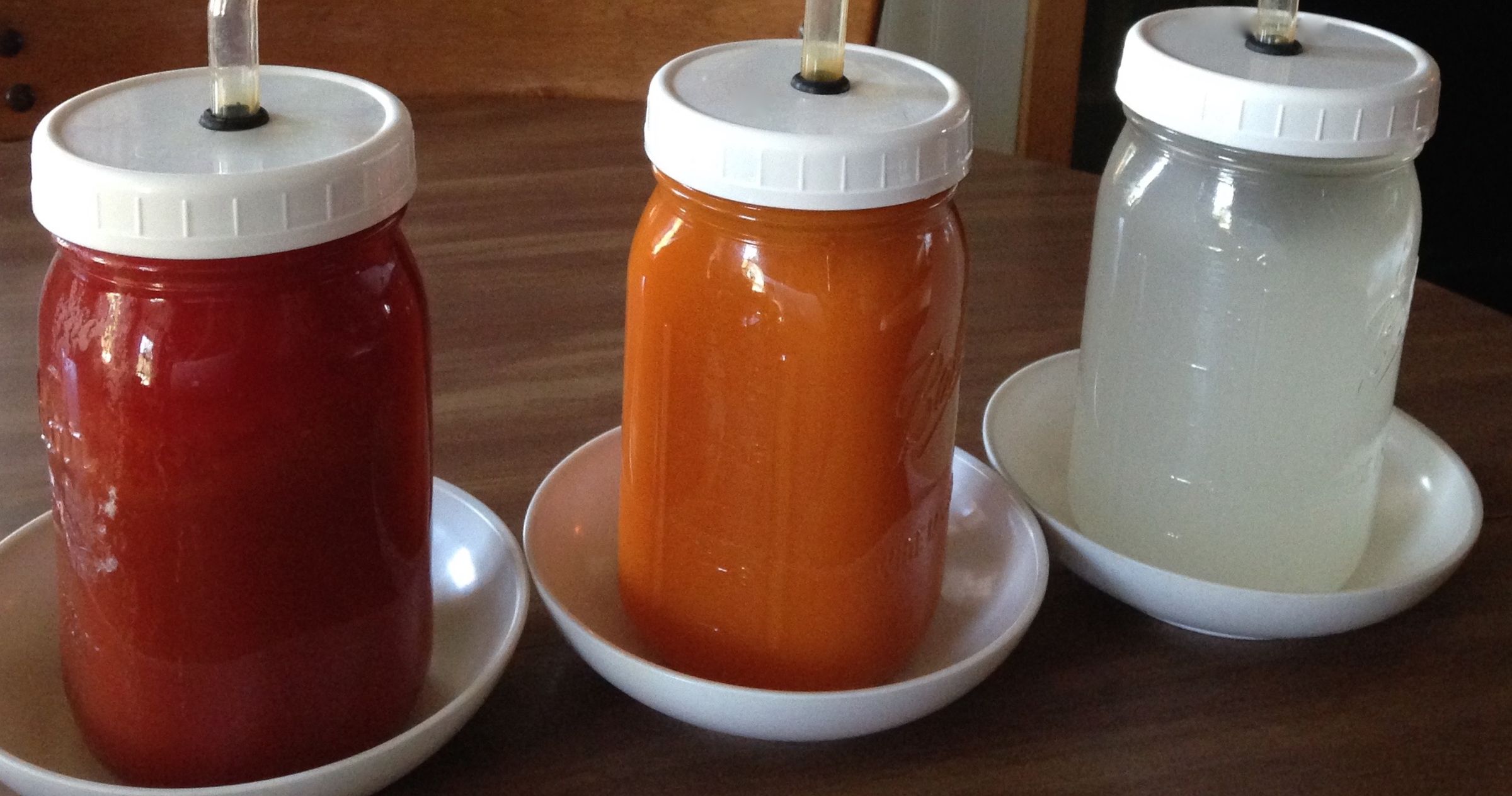 Fermented Vegetable Juice - the Next, Next Fermentable : 3 Steps (with ...