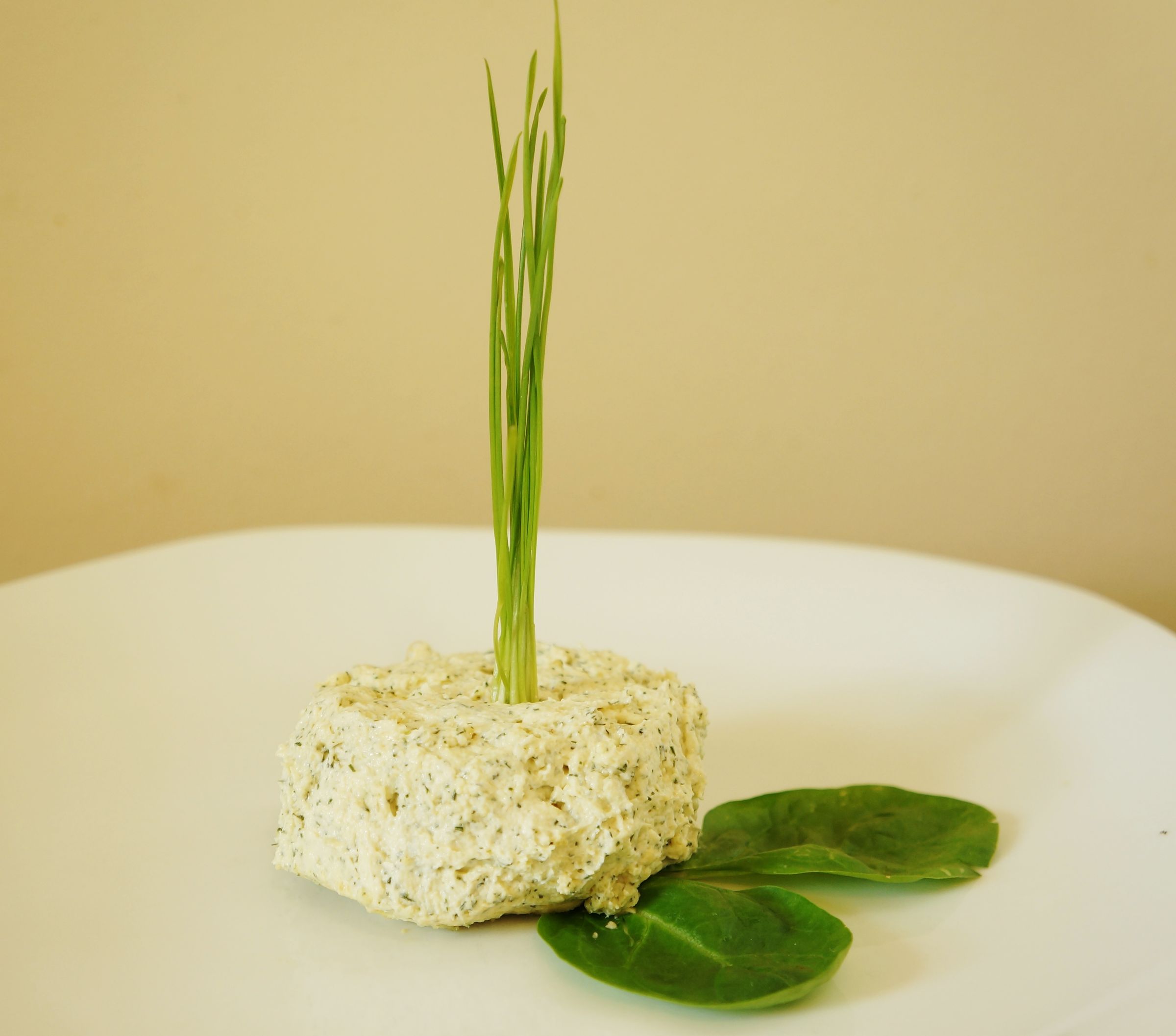 Raw Vegan Cheese Recipe : 6 Steps (with Pictures) - Instructables