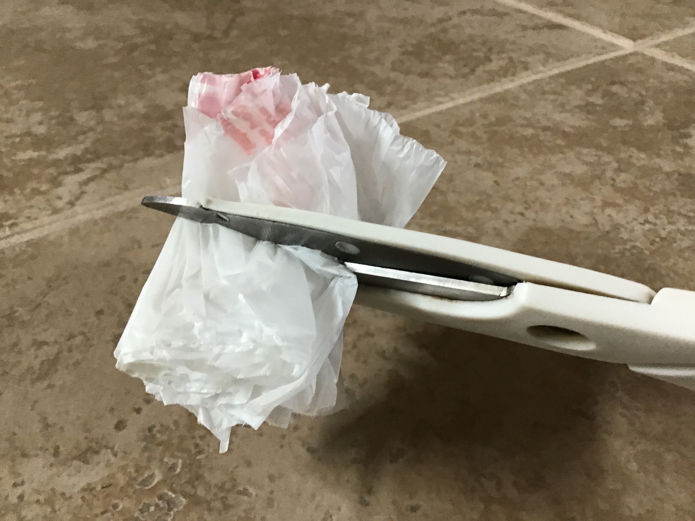 Pinworm Eggs On Toilet Paper