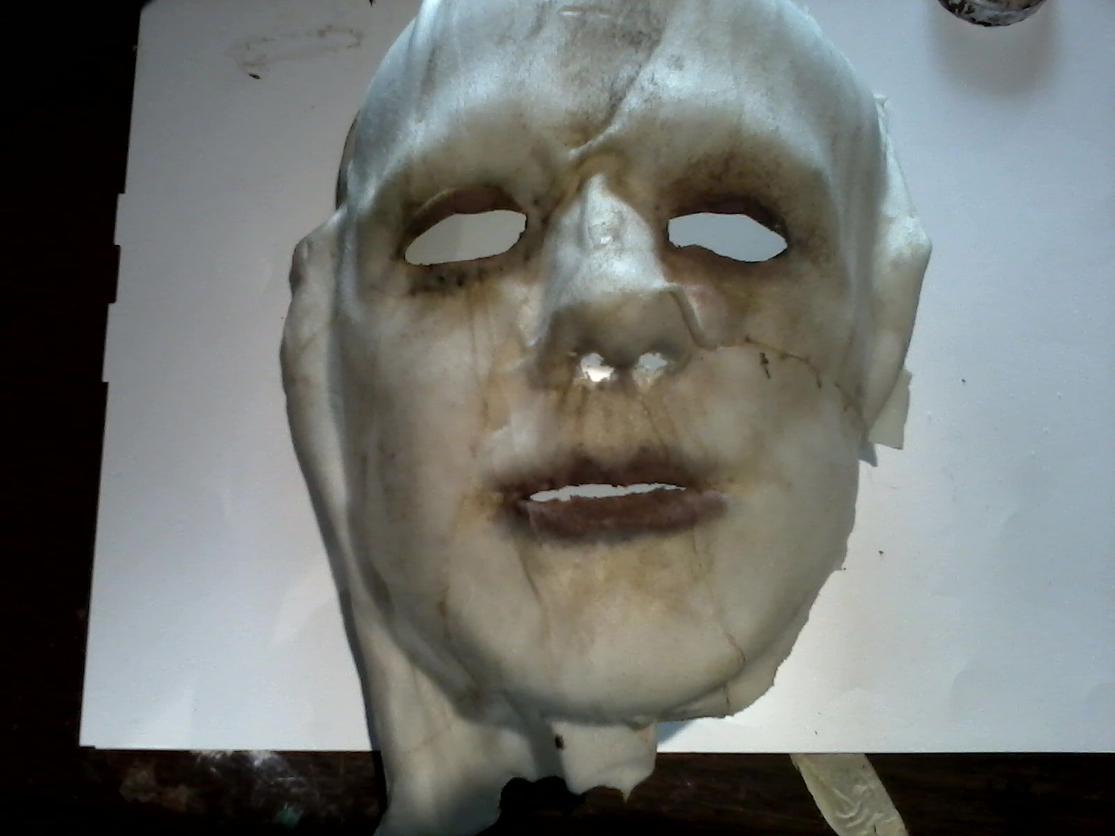 Mask Made Form Real Skin : 10 Steps - Instructables