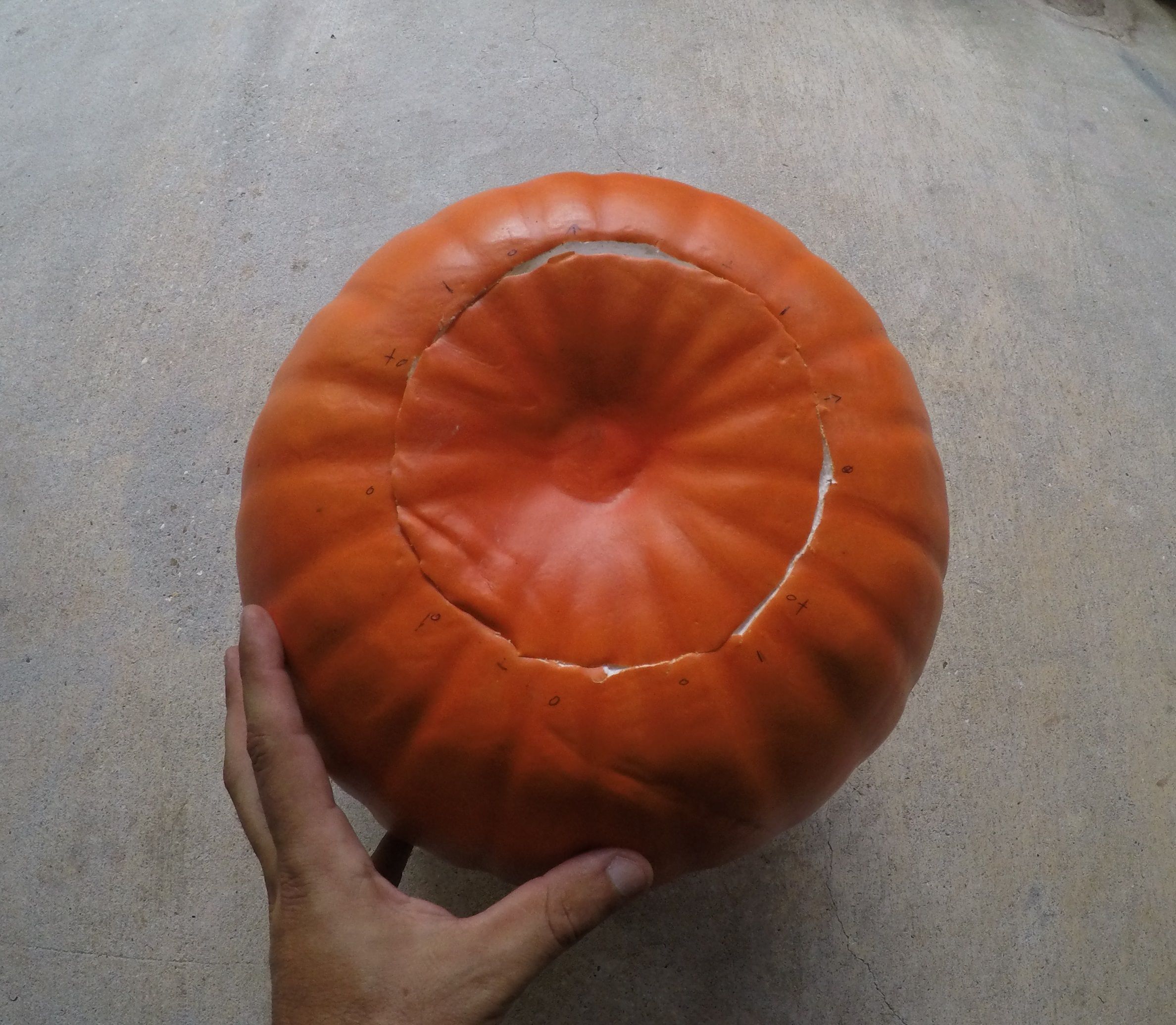 Animated Pumpkin With Motion Sensor : 9 Steps (with Pictures ...