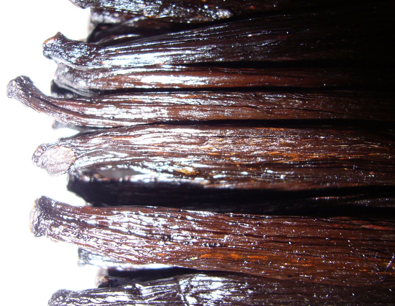 Make Vanilla Extract : 23 Steps (with Pictures) - Instructables