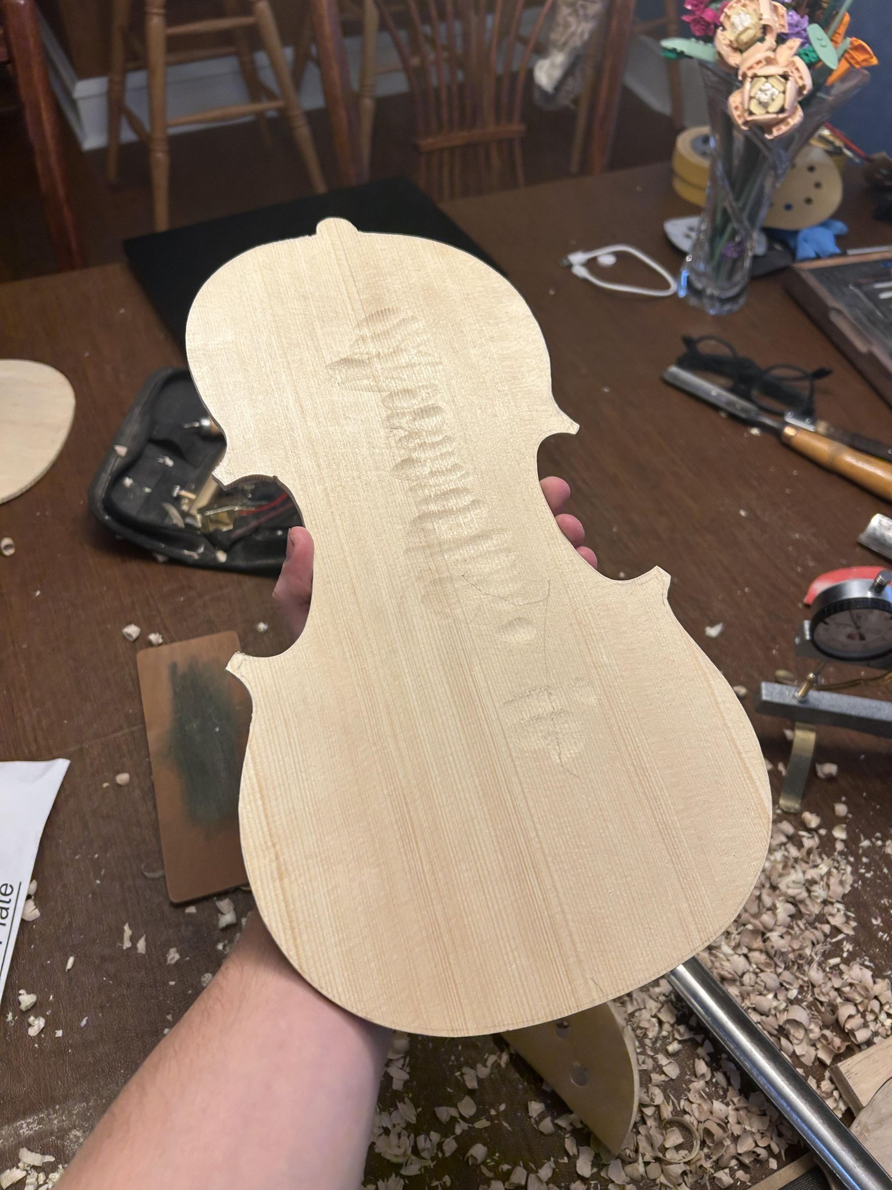 Building a Violin From Scratch Using Hand Tools : 35 Steps (with ...