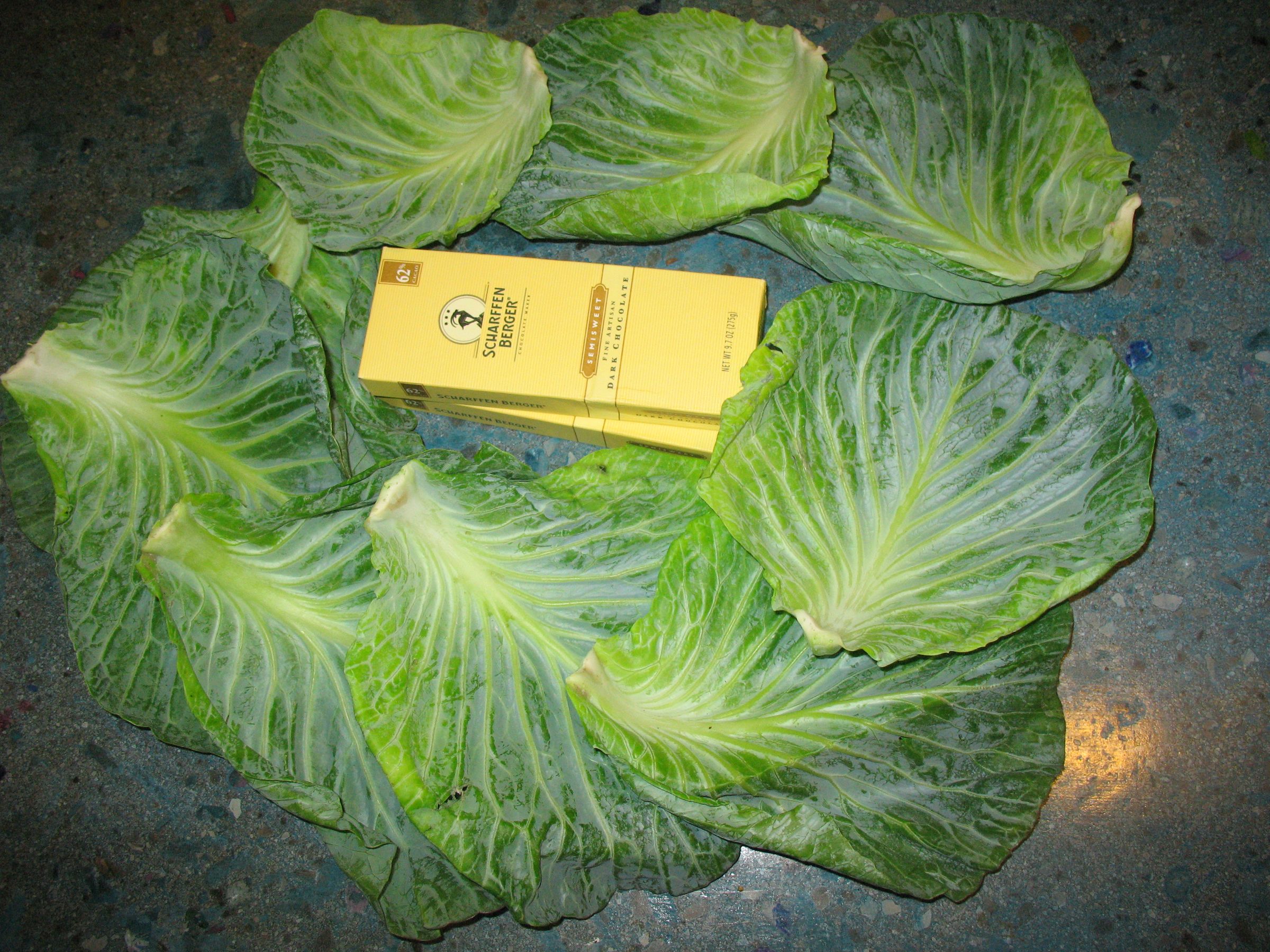 The Chocolate Cabbage* : 5 Steps - Instructables