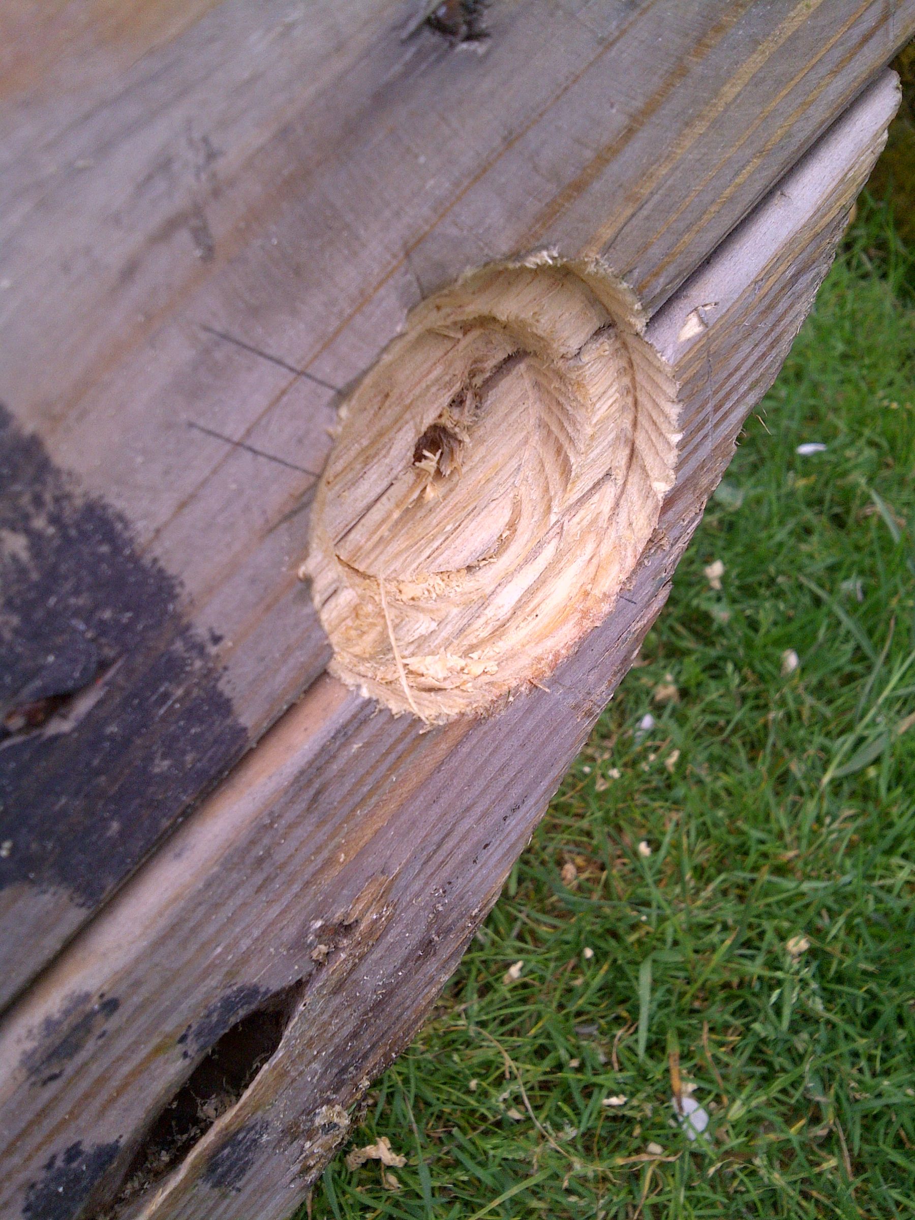 Cable Spool Duck House : 7 Steps (with Pictures) - Instructables