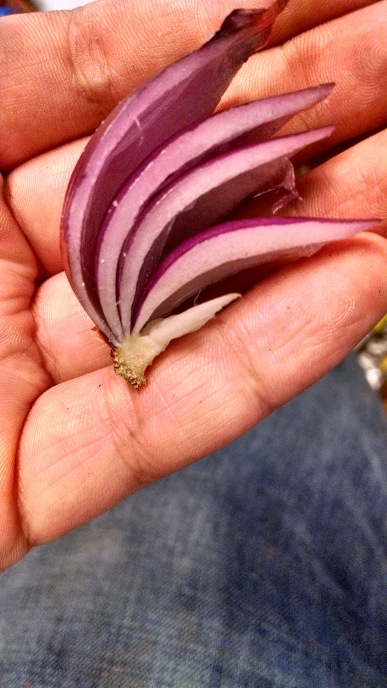Vegetable Propagation: Or, Learn Botany While You Play With Your Food ...