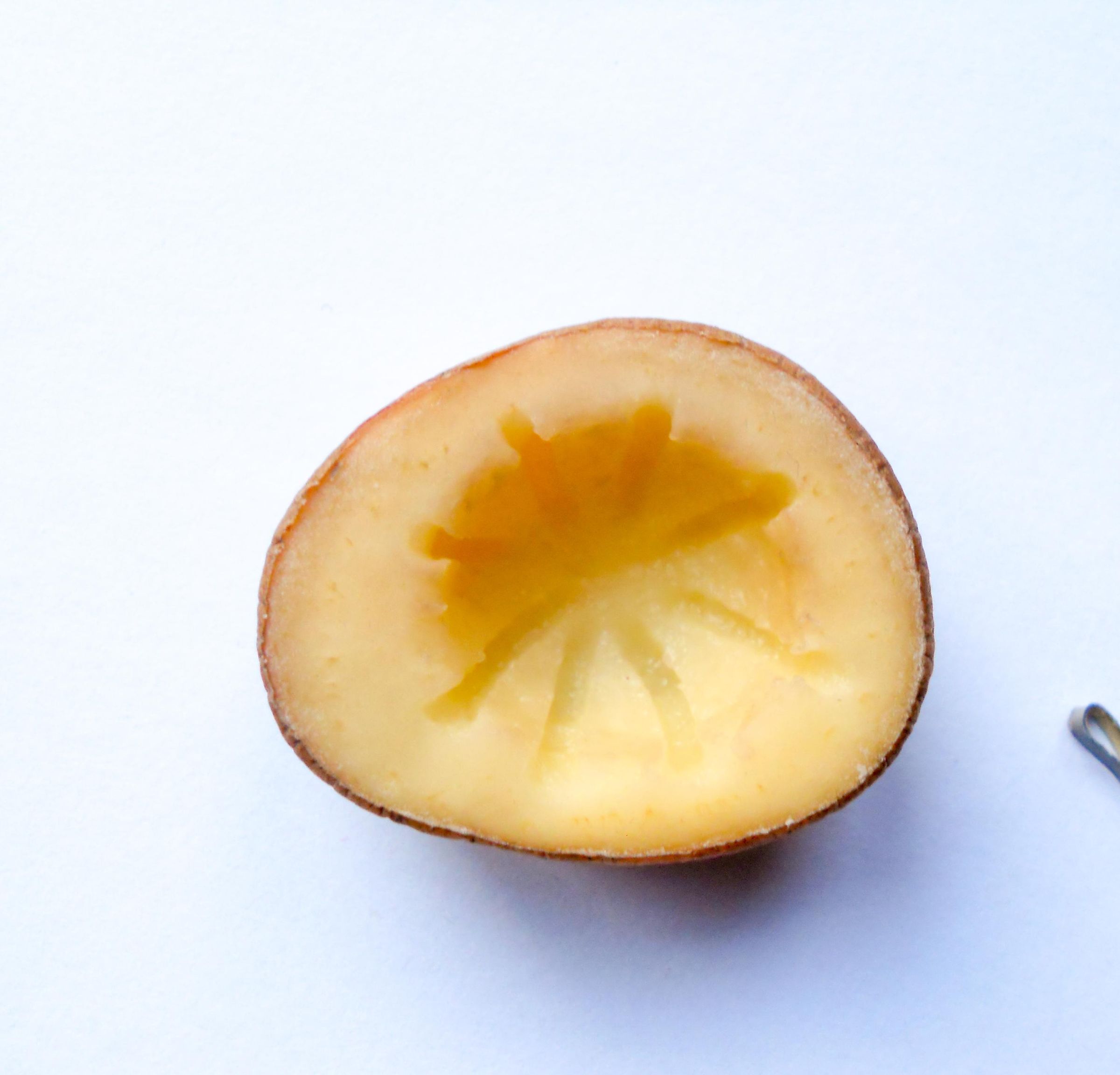How to Make Molds From Potatoes and Cast Concrete Rings (Jewelries) : 9 ...