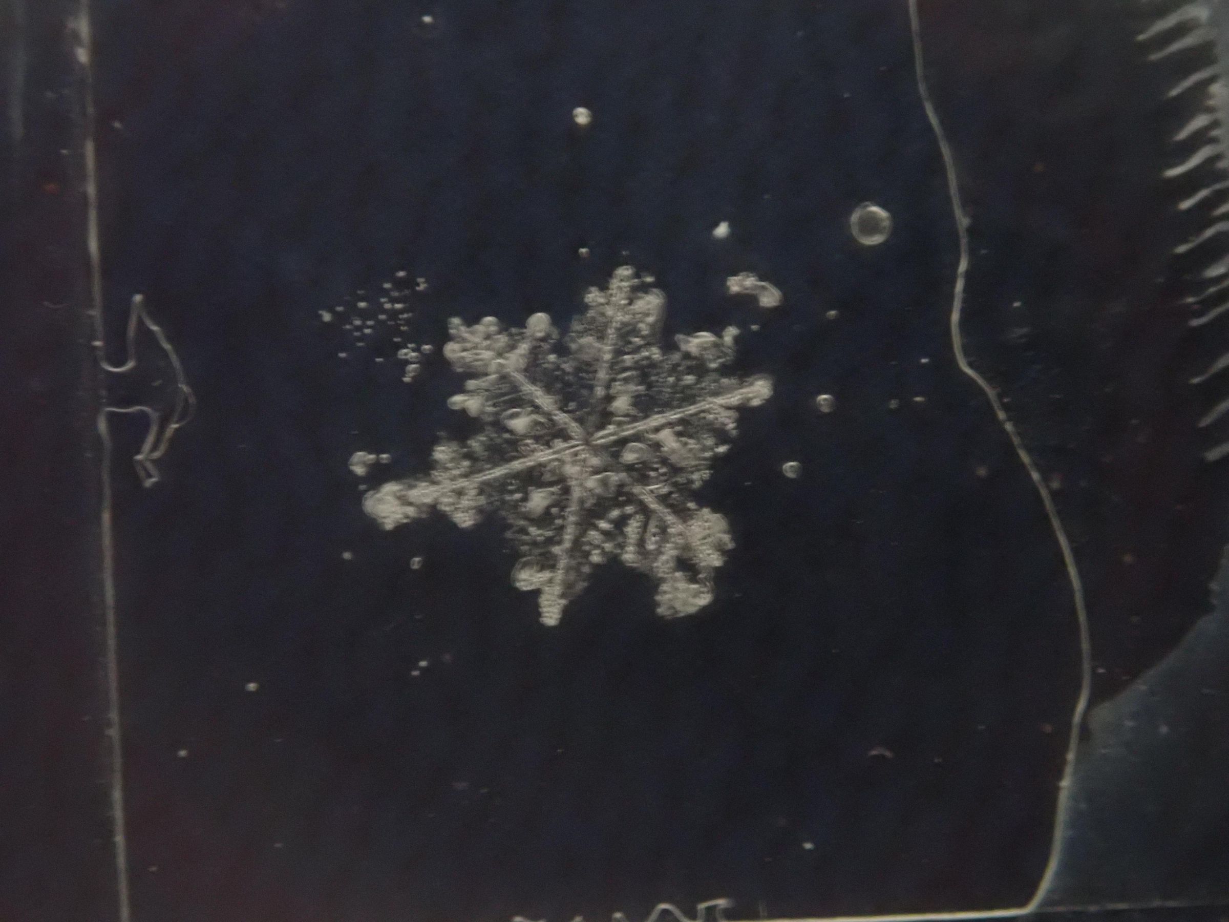 How to Preserve a Snowflake Forever! : 7 Steps (with Pictures ...