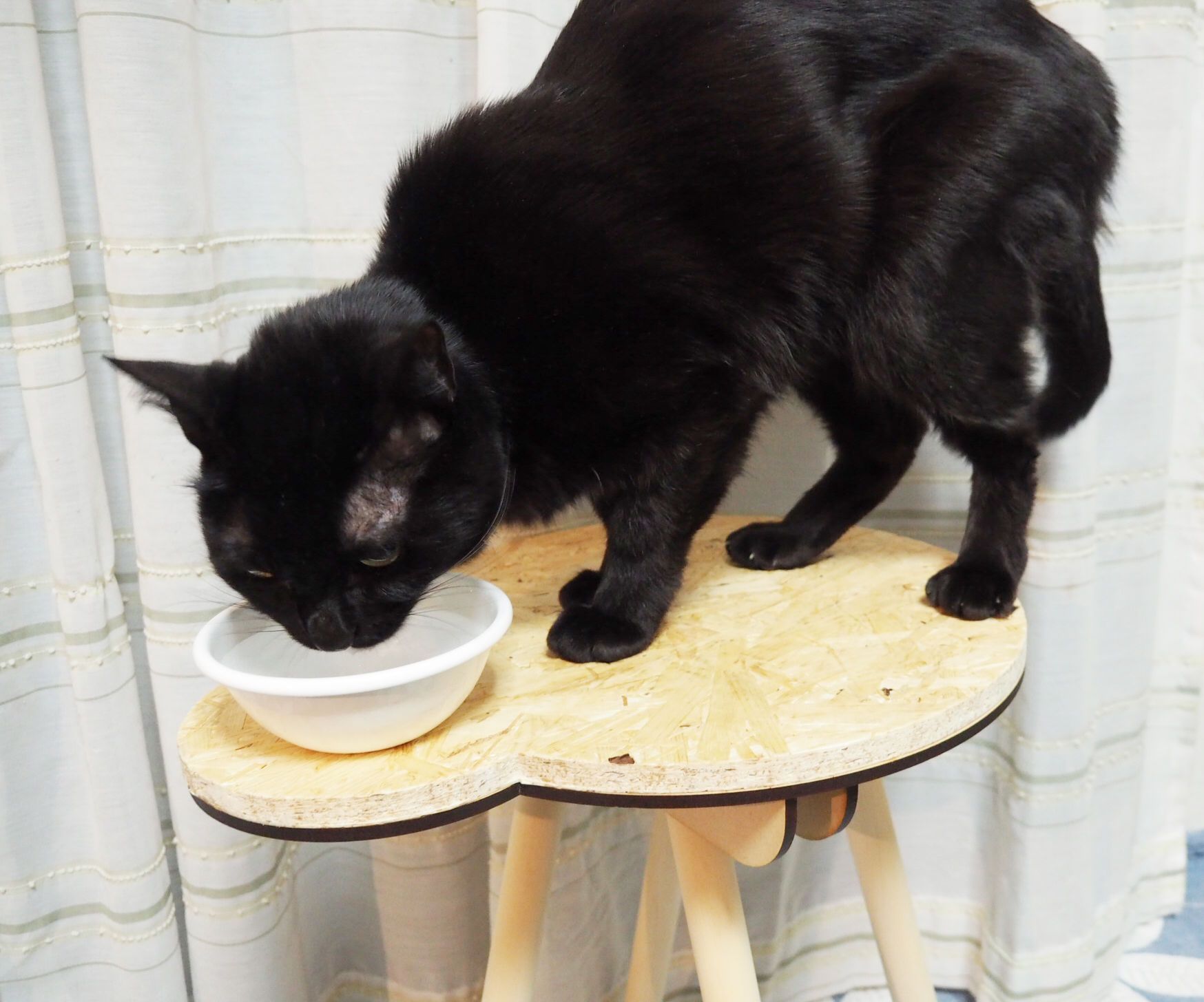 Cat's Stool : 5 Steps (with Pictures) - Instructables