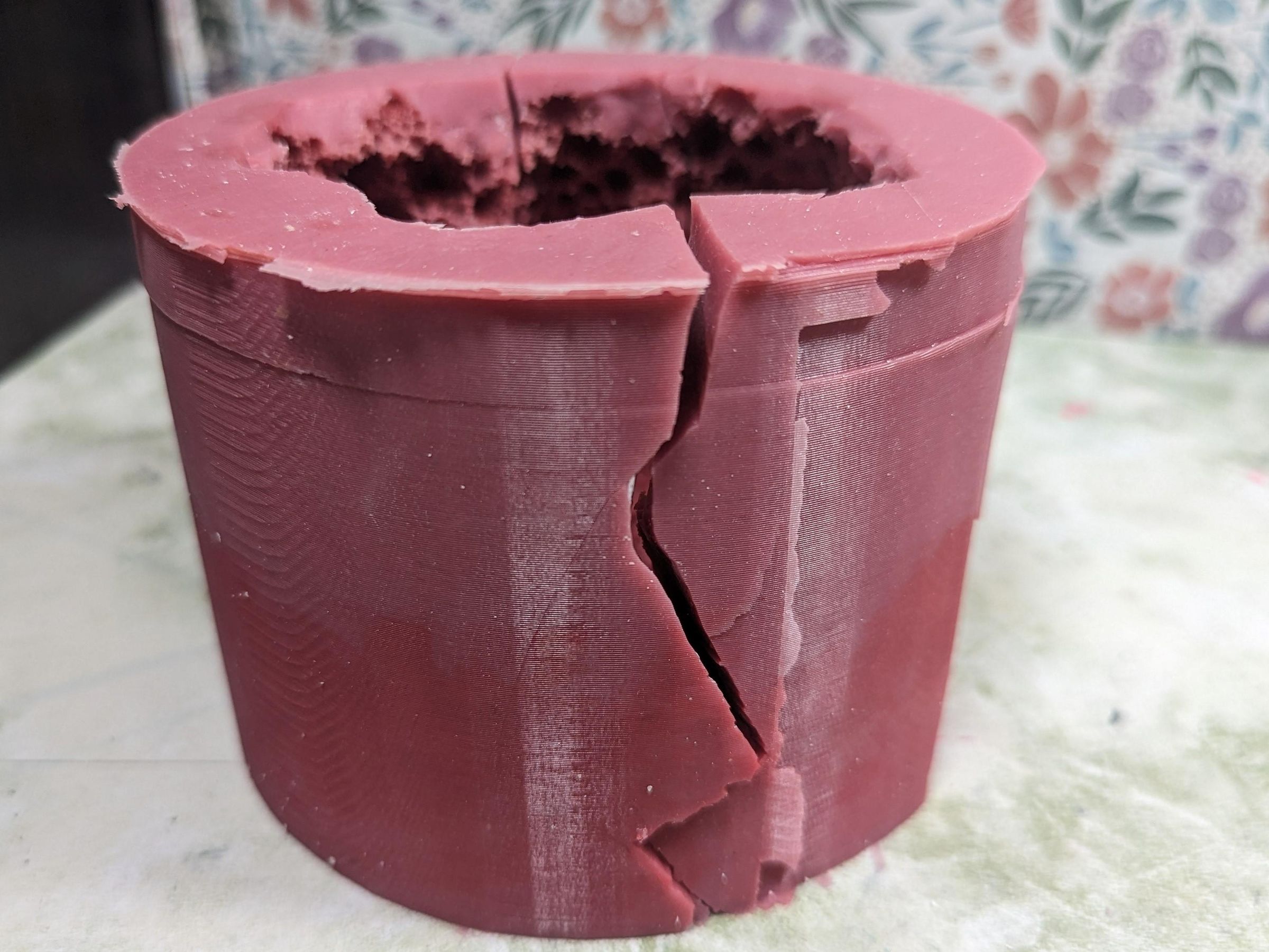 Turn Romanesco Broccoli Into a Candle : 17 Steps (with Pictures ...