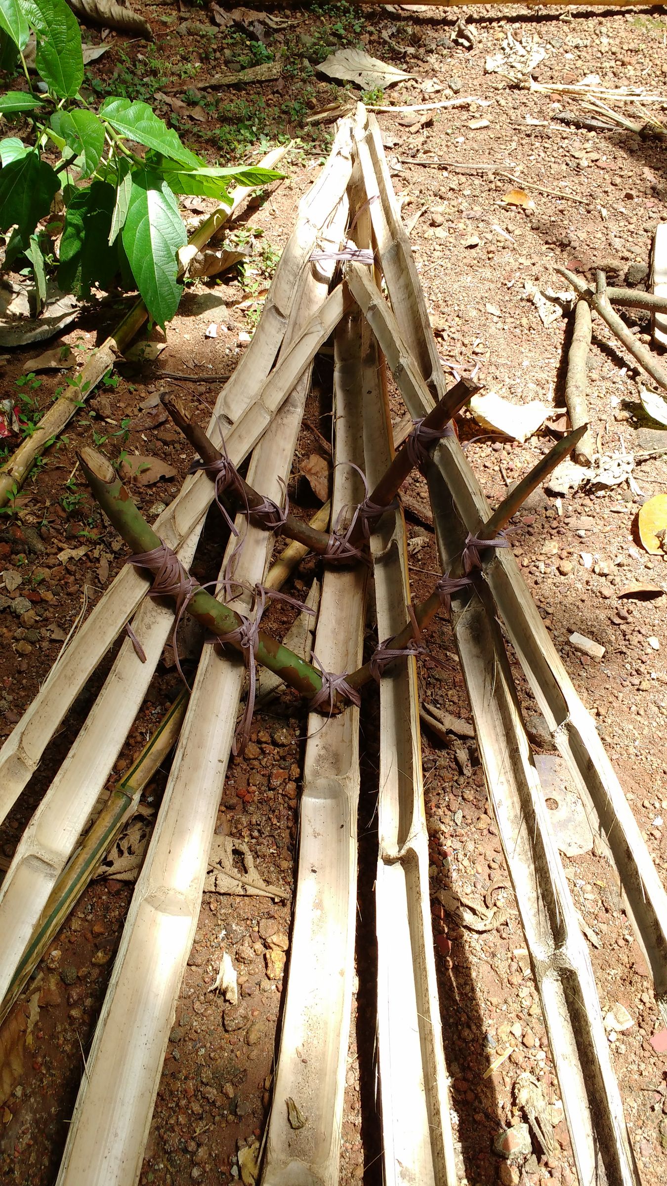 Bamboo Canoe : 6 Steps (with Pictures) - Instructables
