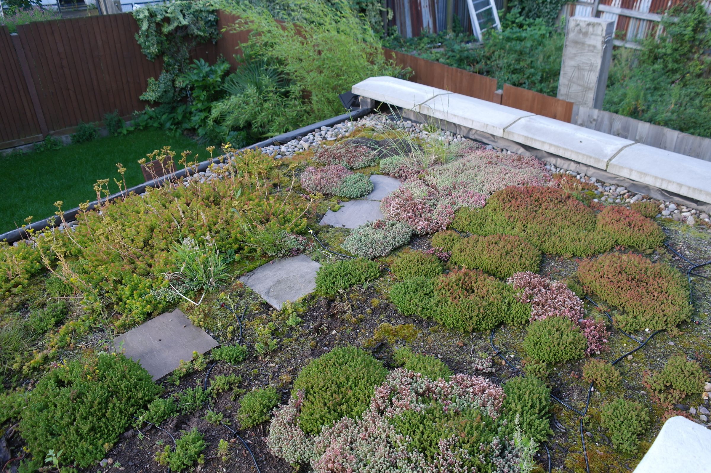 Build a Living Roof / Green Roof : 8 Steps (with Pictures) - Instructables