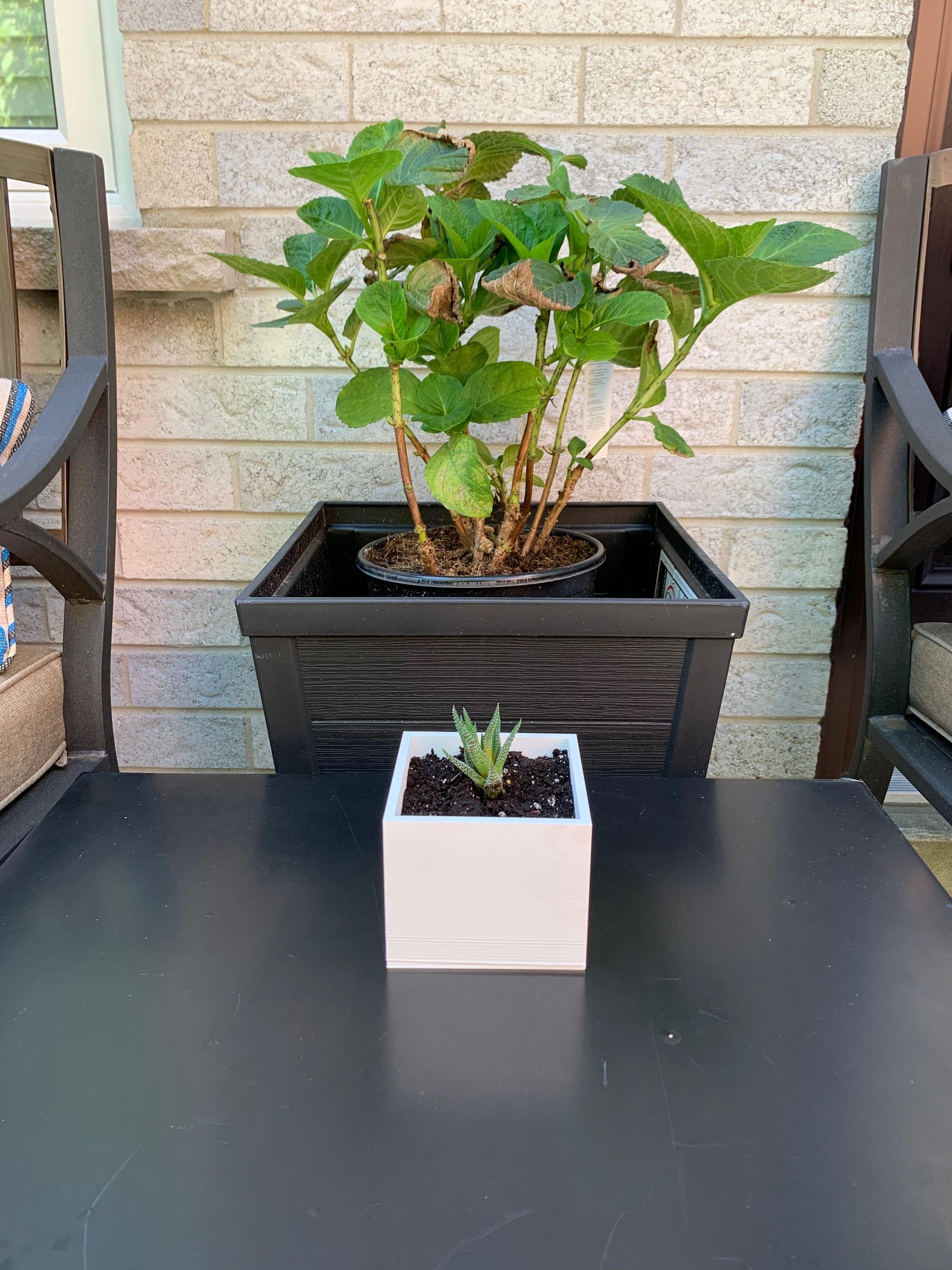 Succulent Planter With Secret Compartment : 4 Steps - Instructables