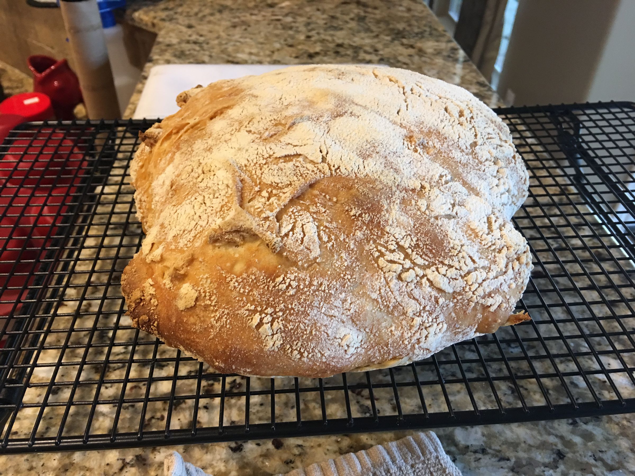 Easy No Kneed Bread : 8 Steps (with Pictures) - Instructables