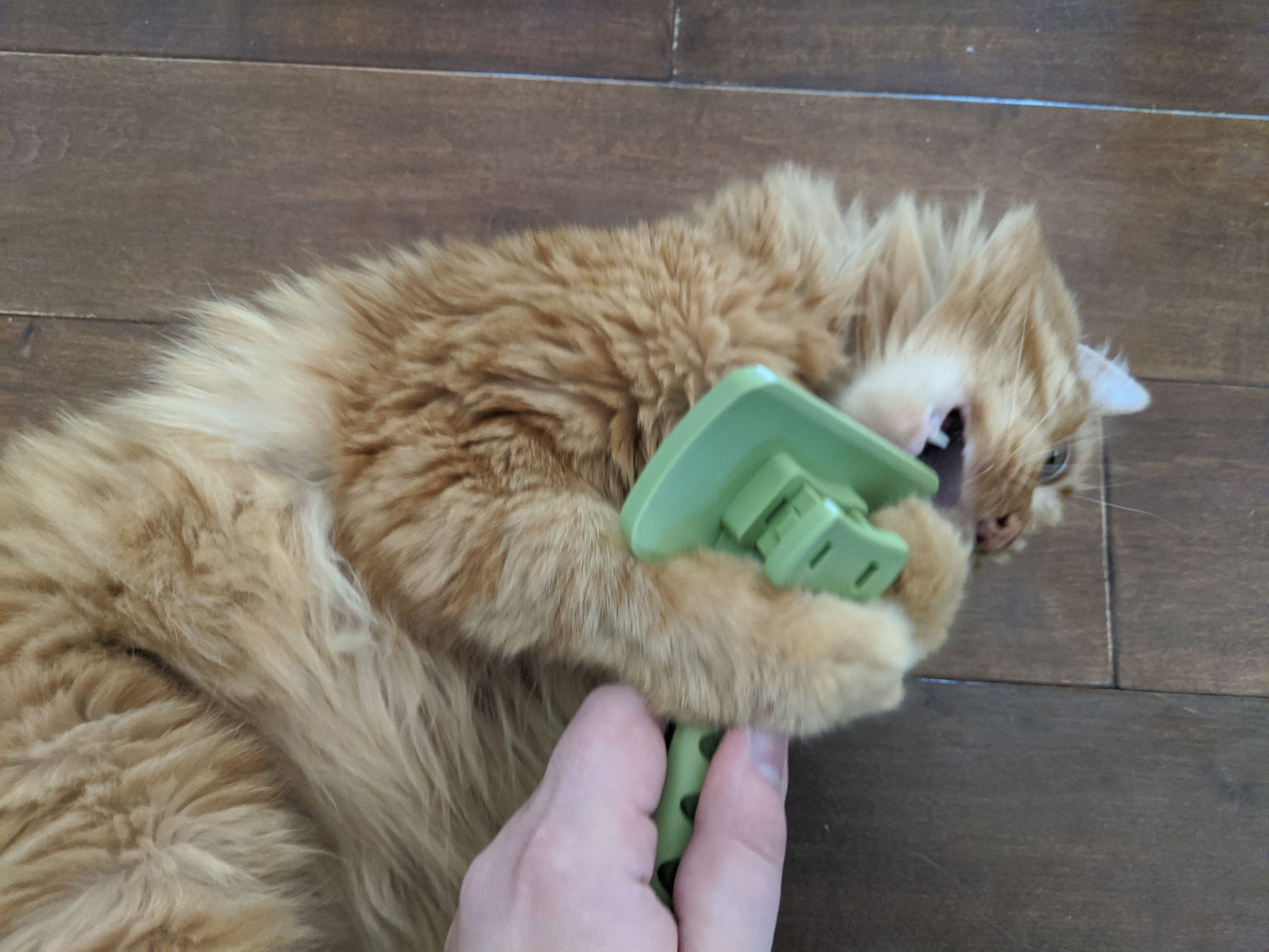 Felted Cat Fur Cat Hat : 3 Steps (with Pictures) - Instructables