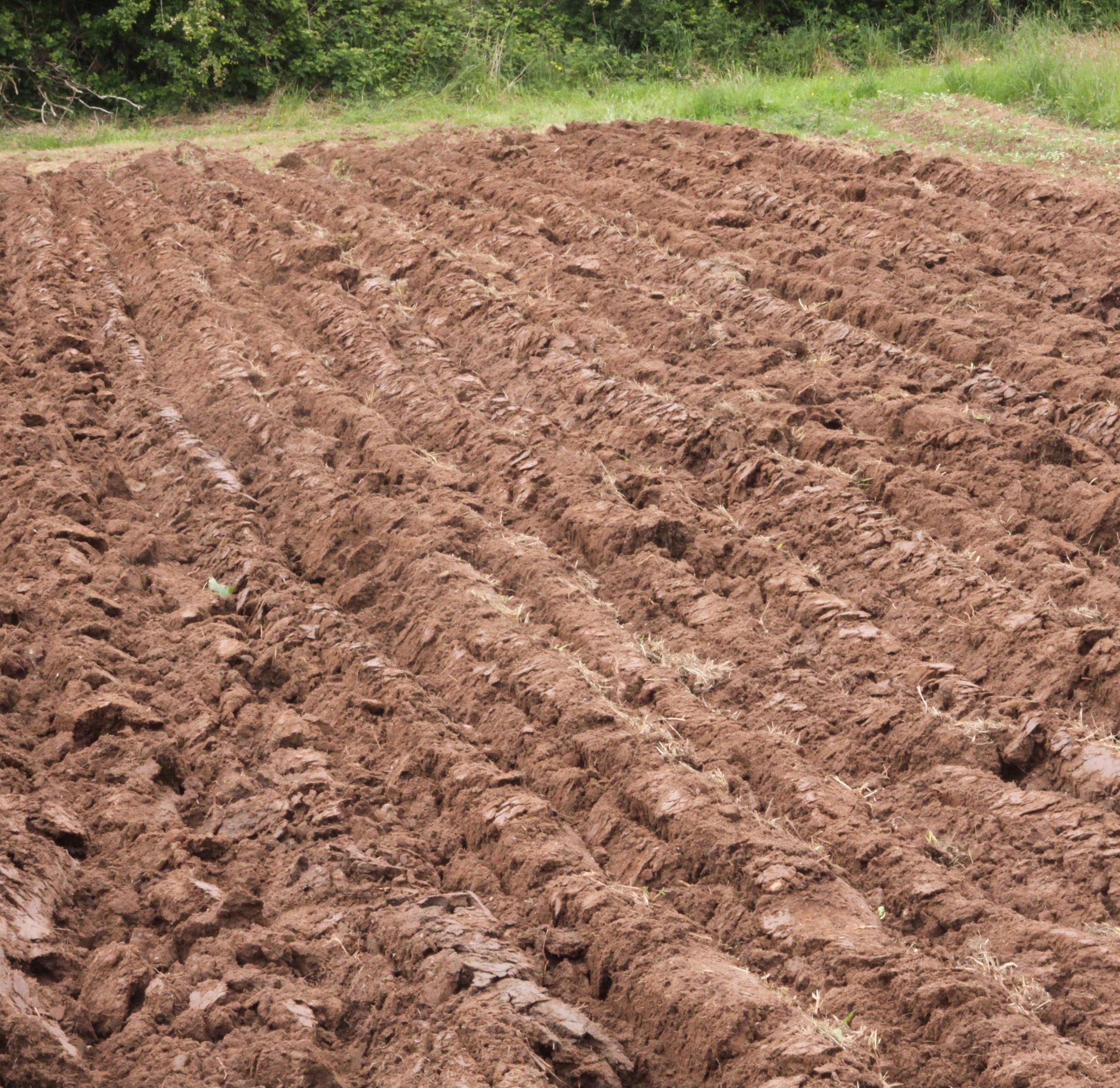 How to Plough or Plow a Field - Basic Instructions : 8 Steps (with ...