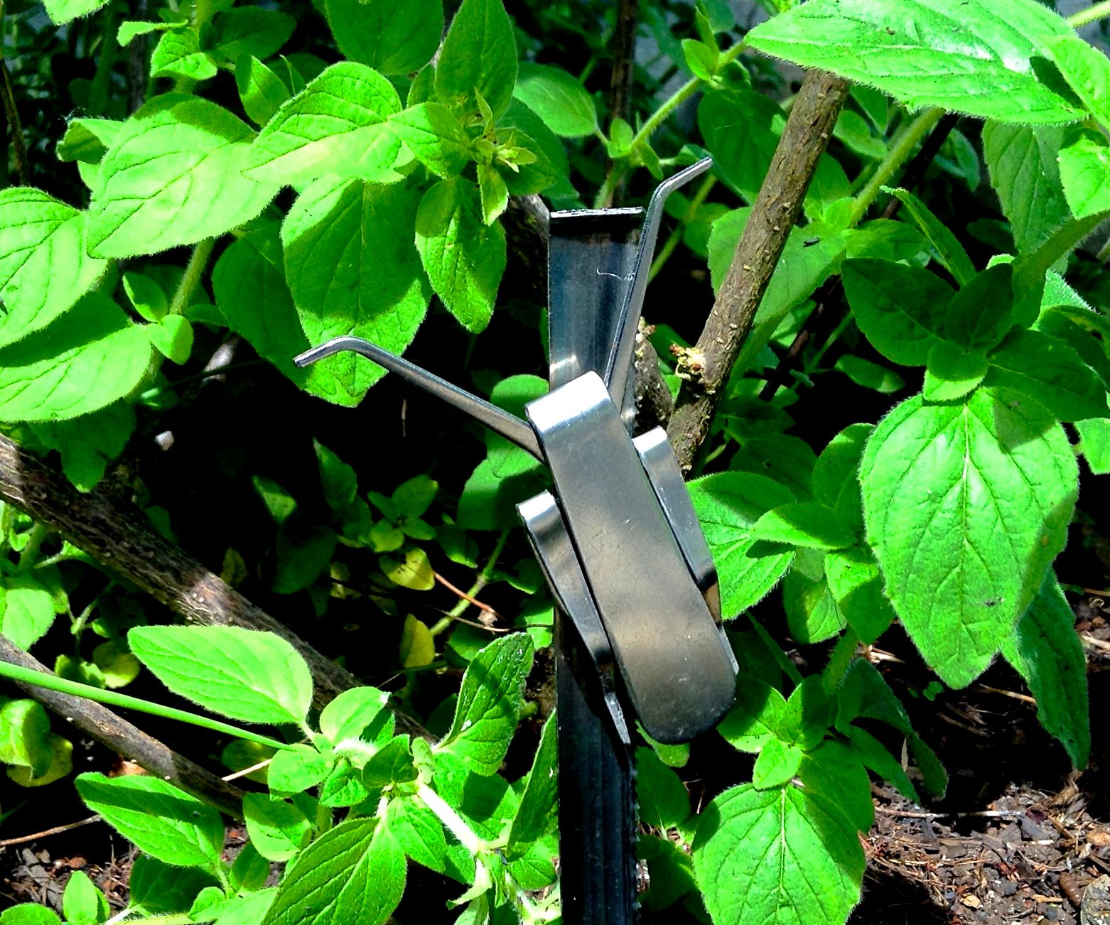 Make Fork Bugs (Magnets) : 5 Steps (with Pictures) - Instructables