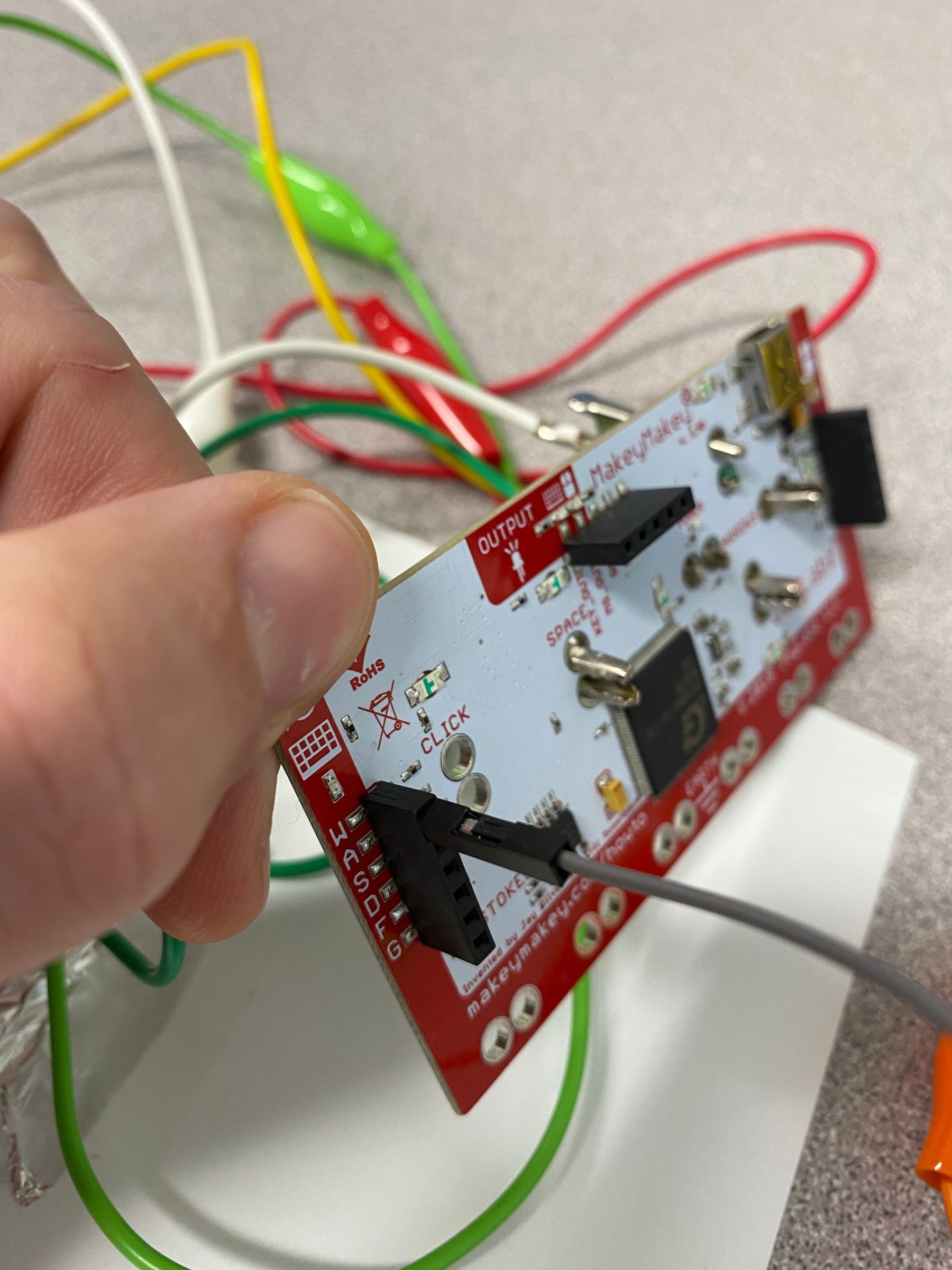 Plant Cell Operation With Makey Makey : 5 Steps (with Pictures ...