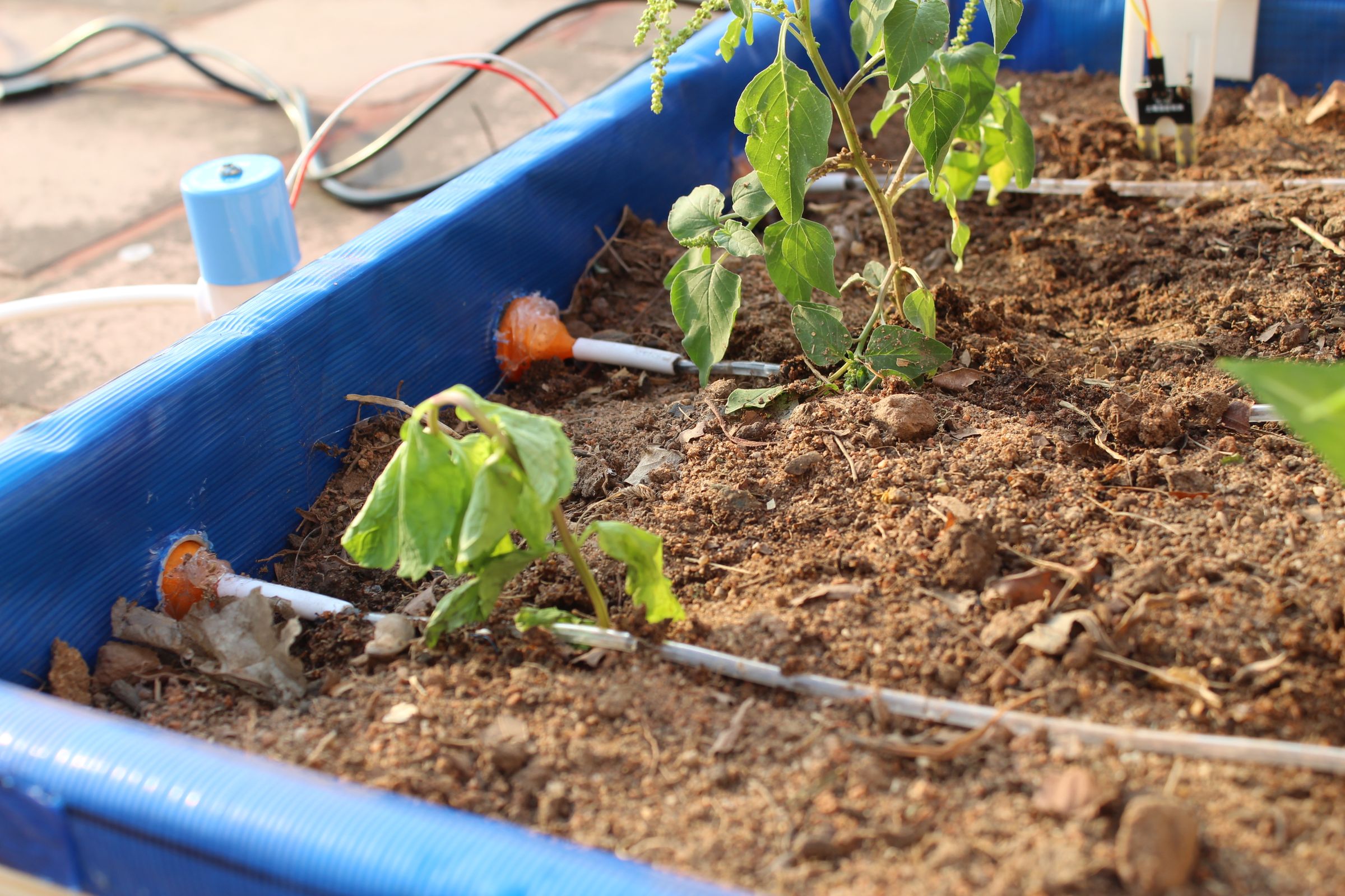 Raspberry Pi Powered IOT Garden : 18 Steps (with Pictures) - Instructables