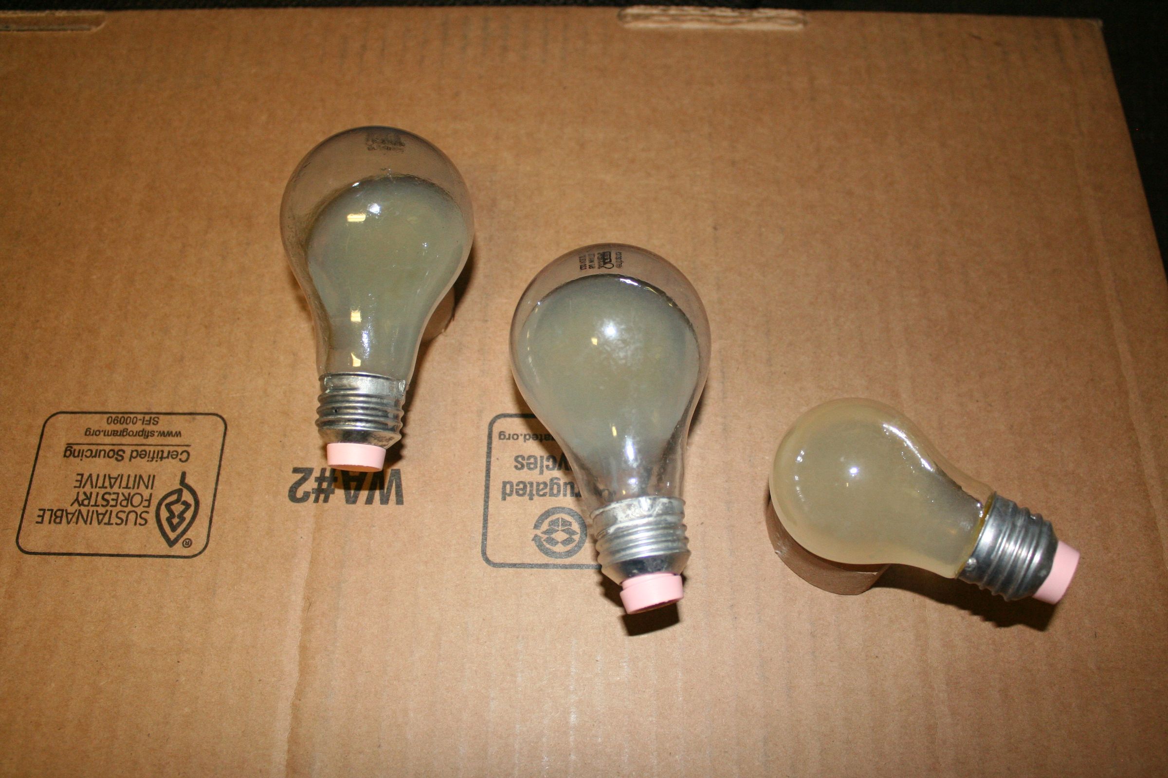 Bioluminescent Bacterial Lightbulb / Water Pollution Tester : 11 Steps ...