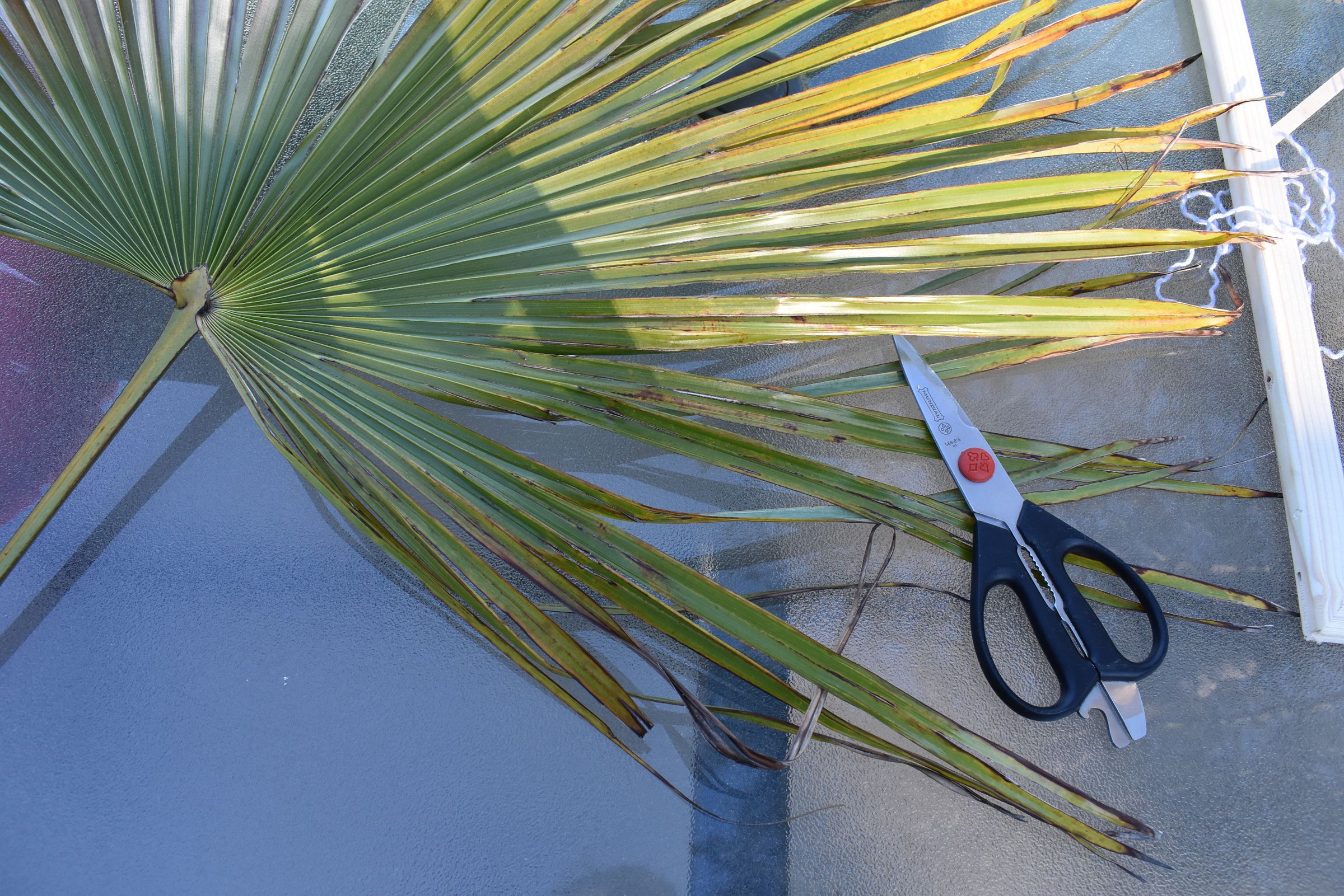 Weaving With Nature : 8 Steps (with Pictures) - Instructables