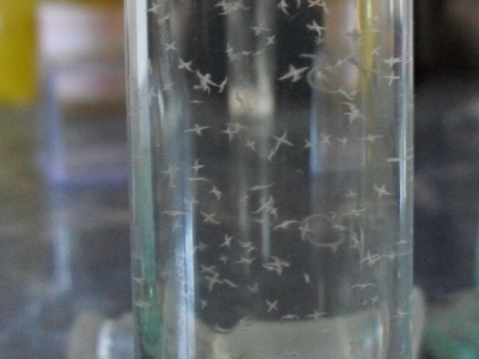 How to Grow Great Crystals : 14 Steps (with Pictures) - Instructables