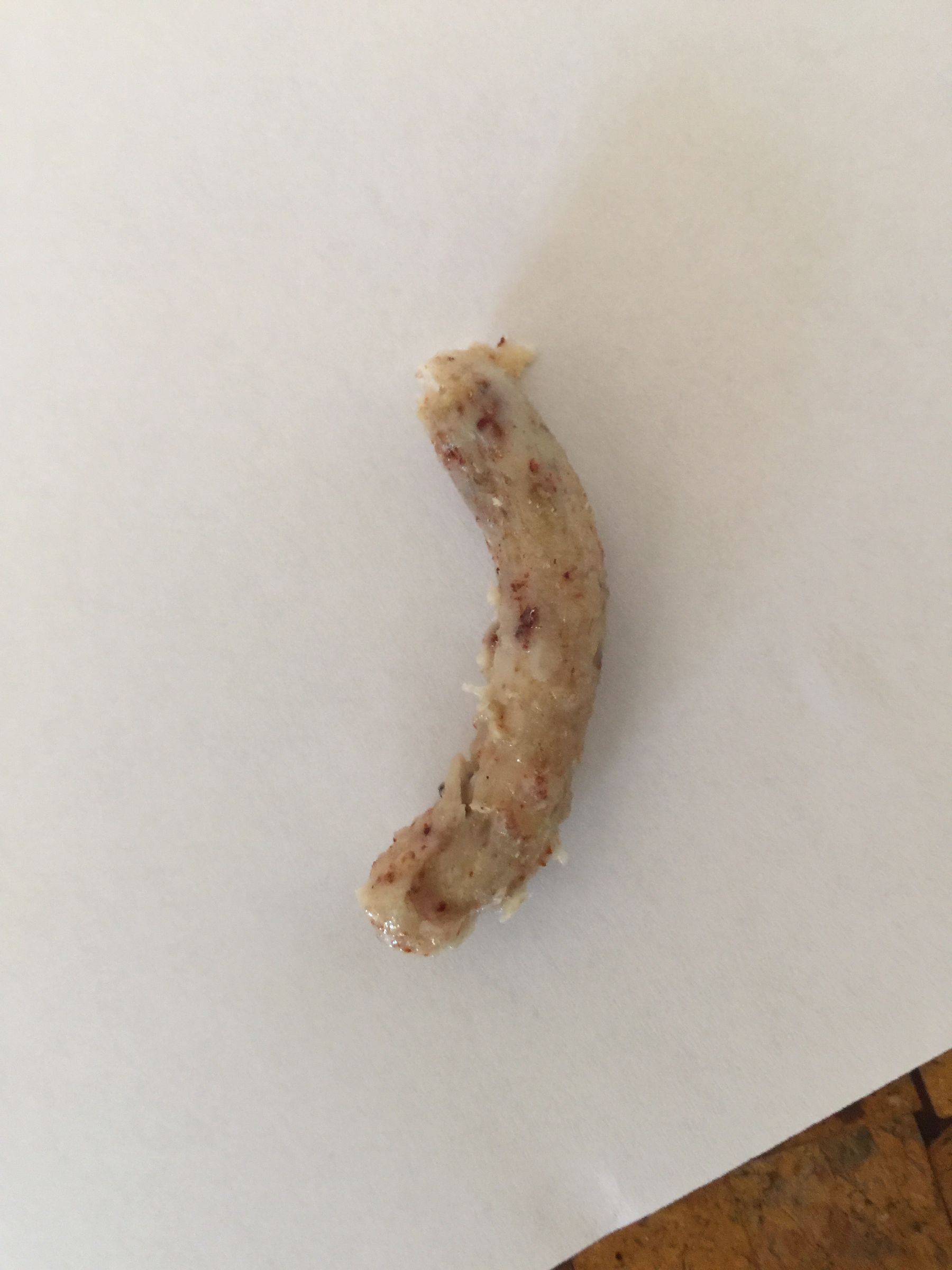 Tree Sap Glue for a Glue Gun : 6 Steps (with Pictures) - Instructables