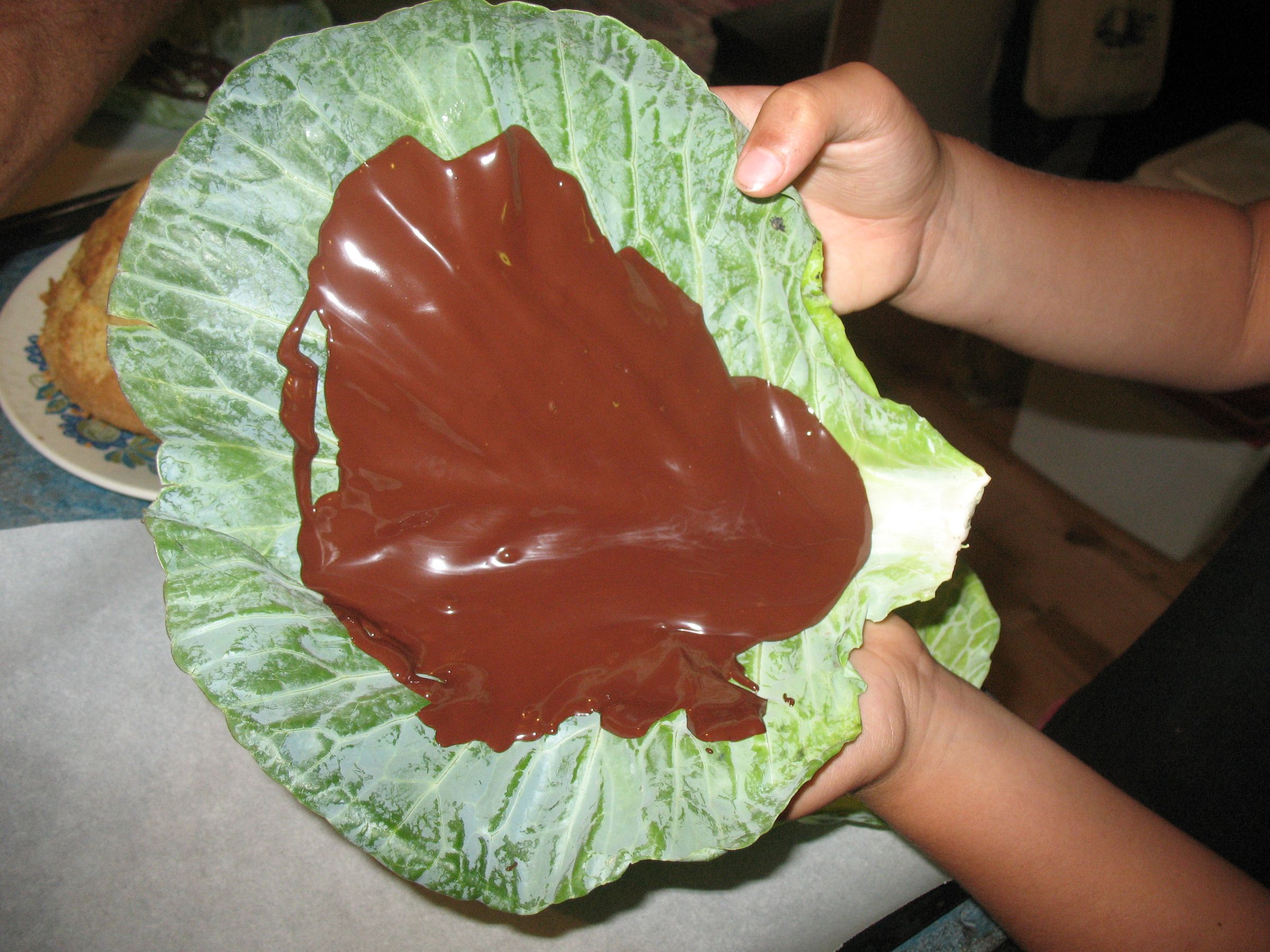 The Chocolate Cabbage* : 5 Steps - Instructables