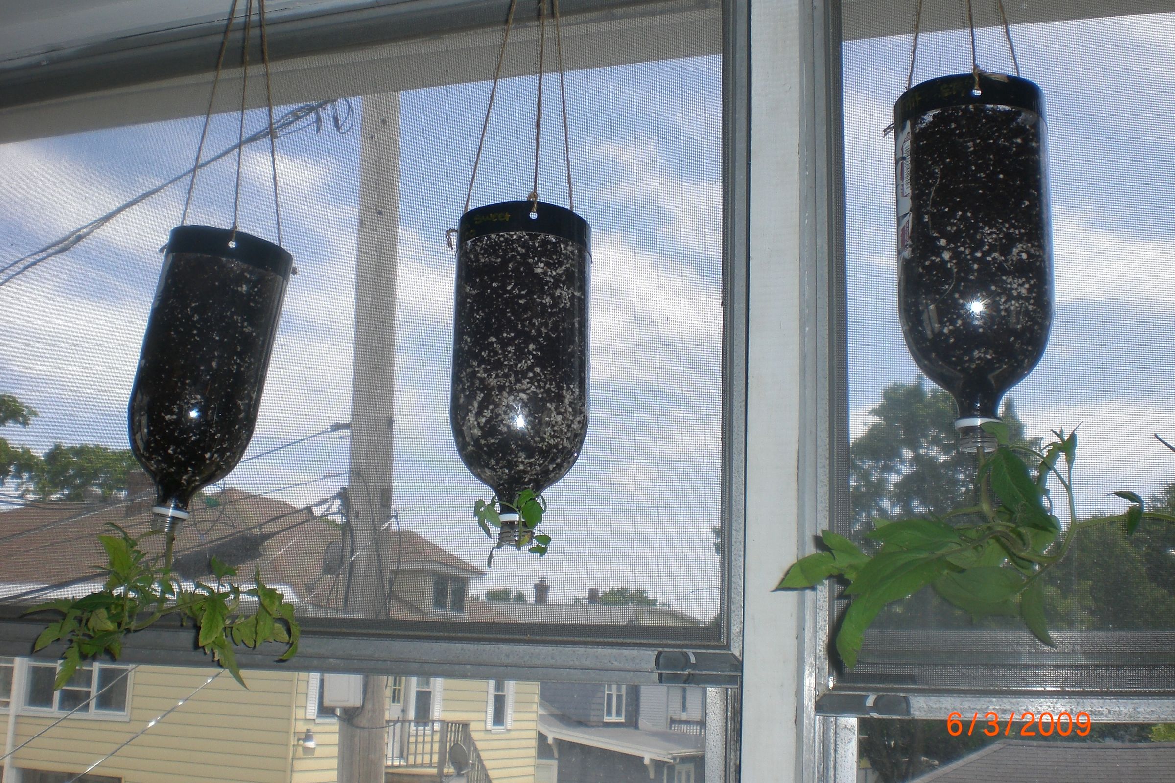 Slow Soaking Hanging Soda Bottle Planter : 8 Steps - Instructables