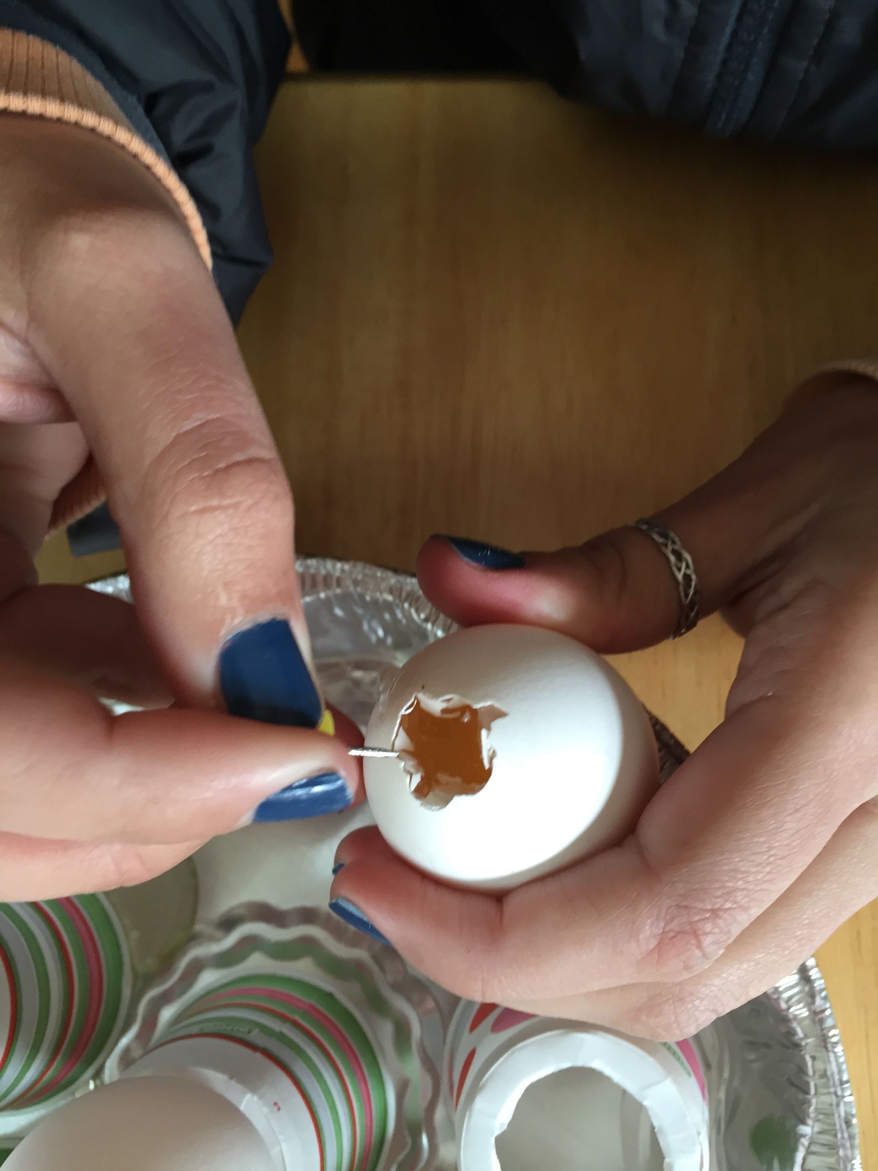 Painting With Eggs : 4 Steps (with Pictures) - Instructables