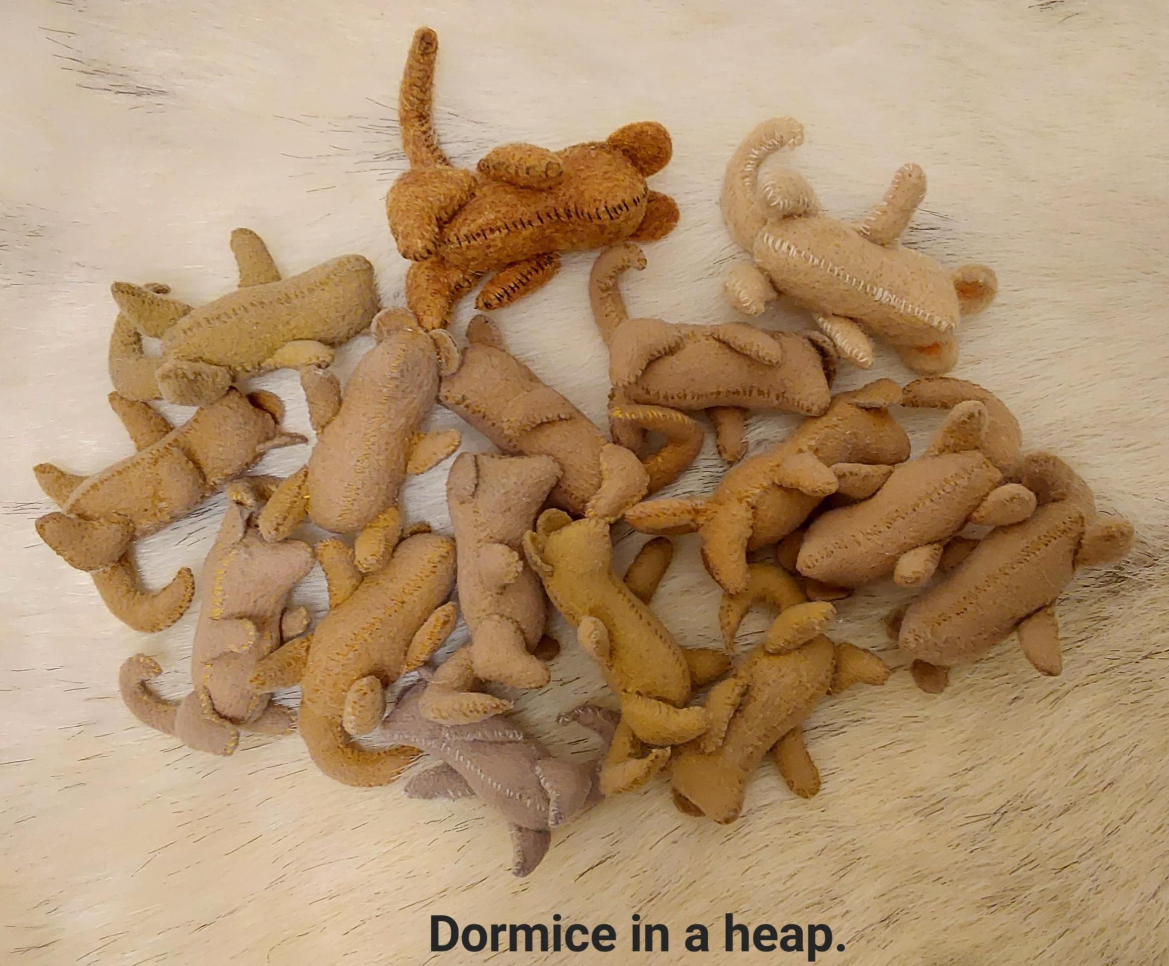 Crayon Dyed Miniature Dormice and Beds : 10 Steps (with Pictures ...