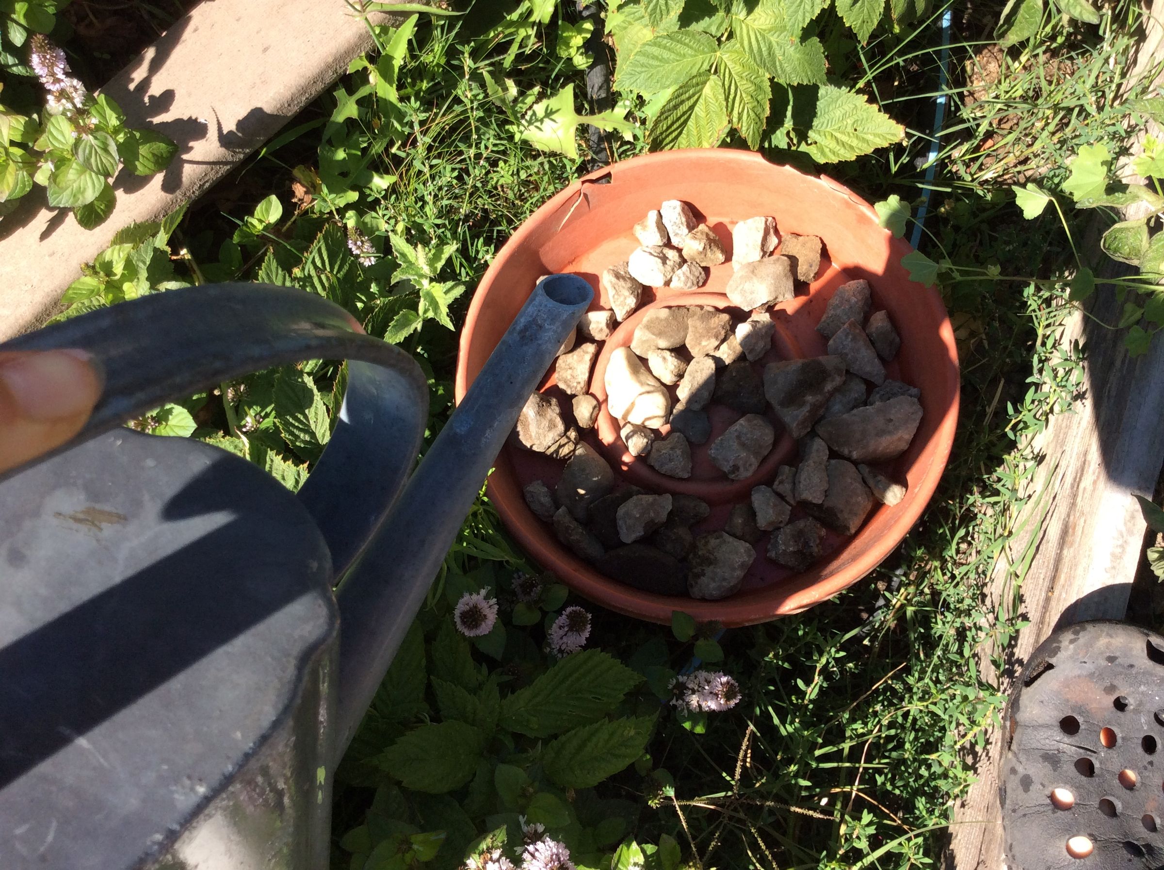 Make Your Own Bee Bath : 3 Steps - Instructables
