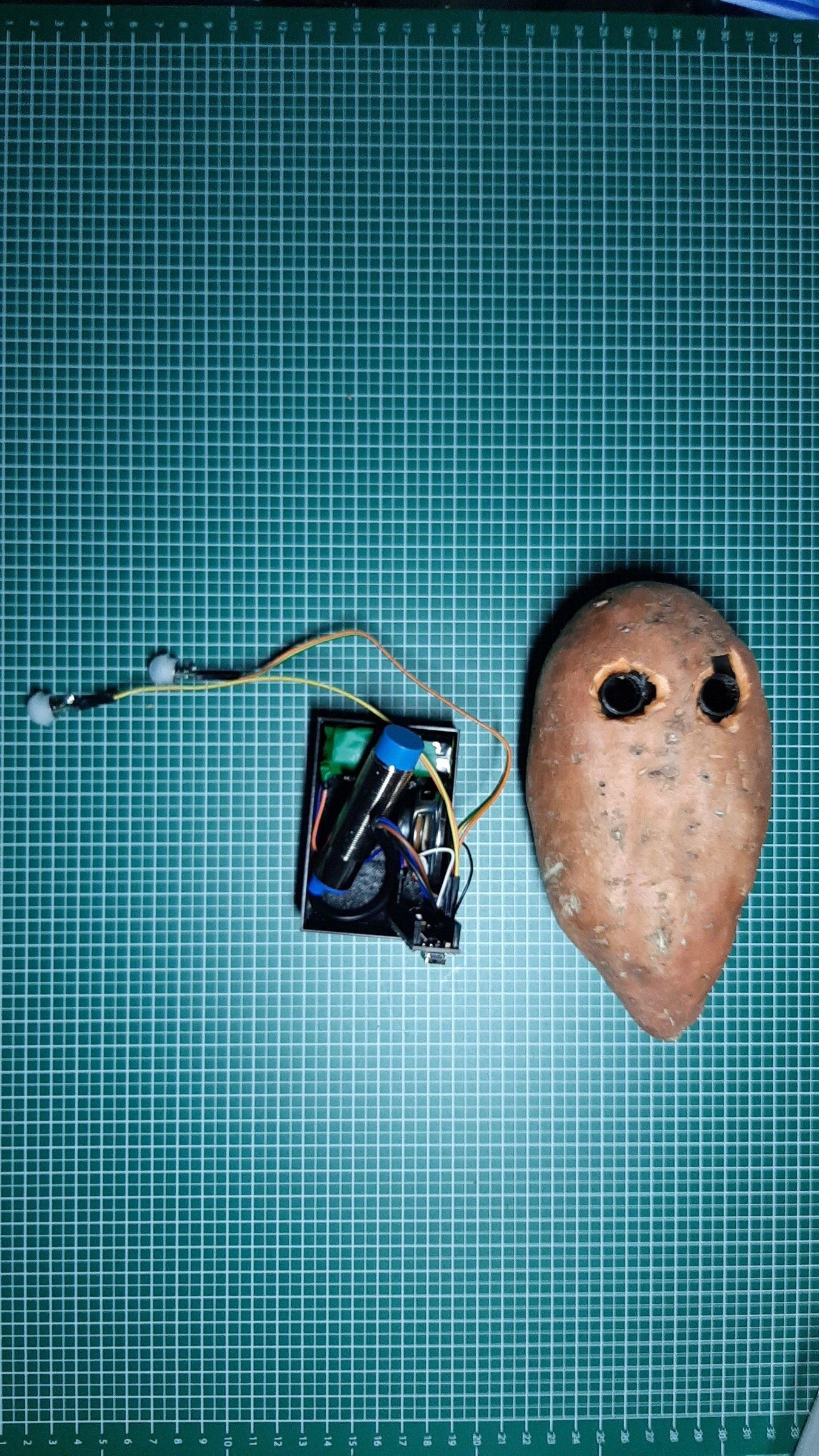 Screaming Potato : 16 Steps (with Pictures) - Instructables