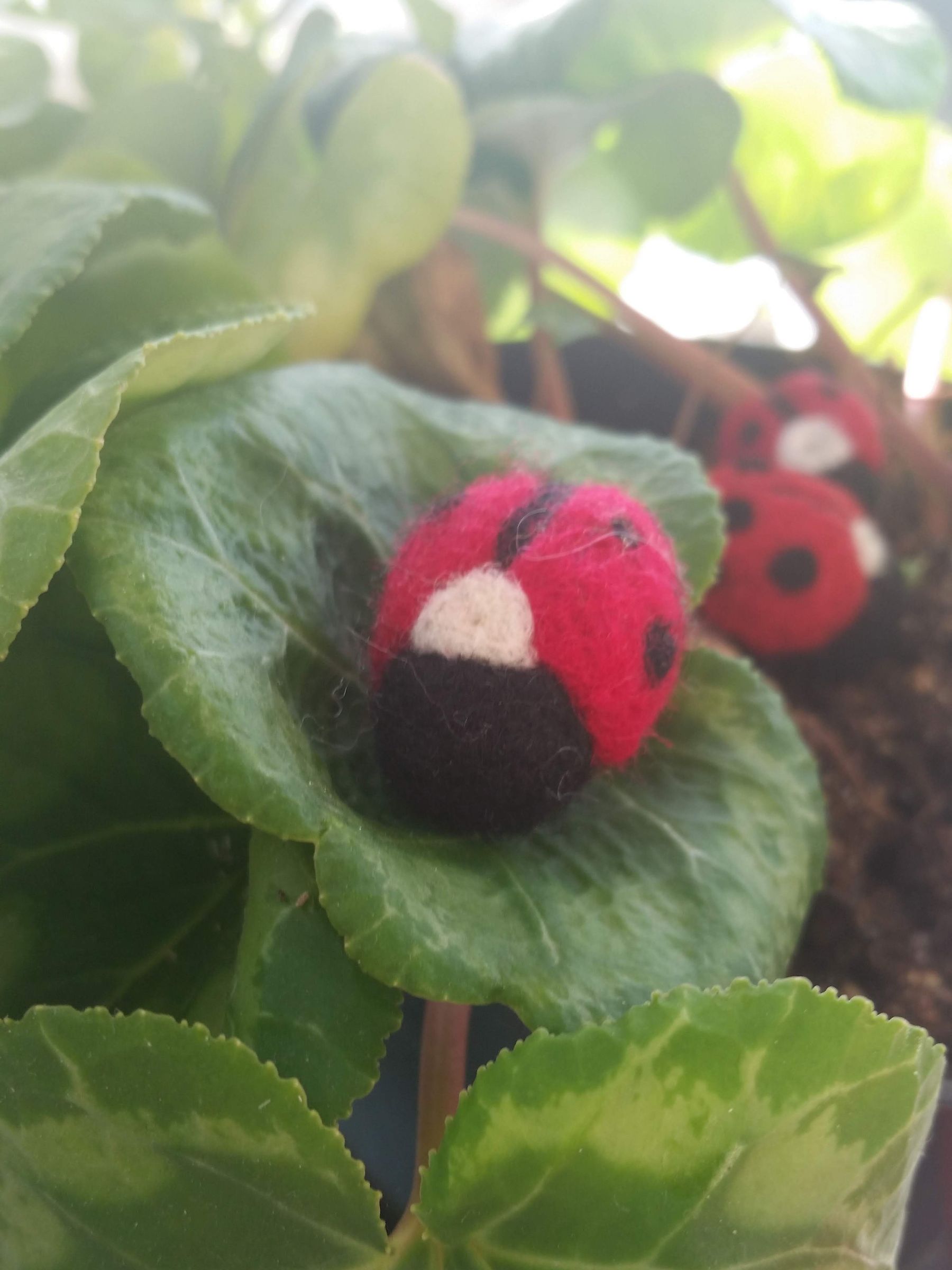 Needle Felted Ladybug : 6 Steps - Instructables