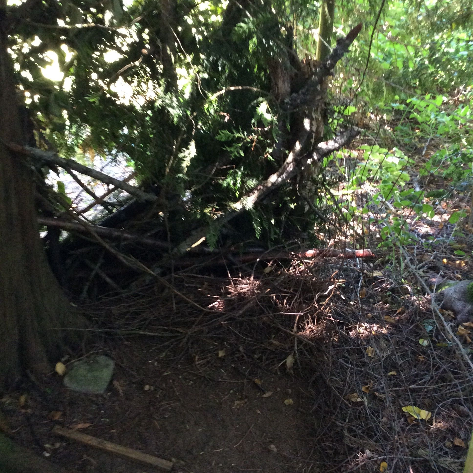 Multi Use Fort / Survival Shelter : 5 Steps - Instructables