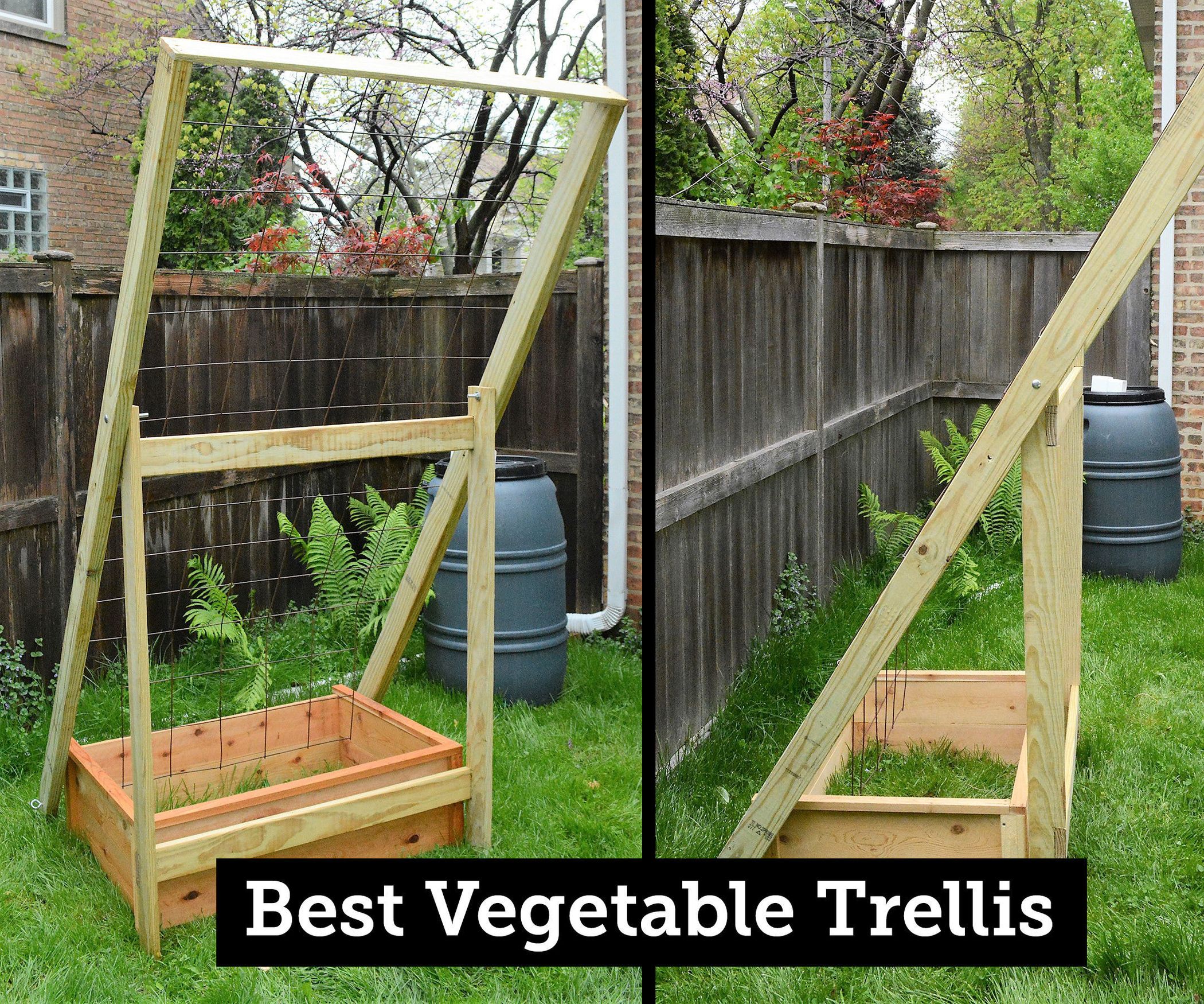 My Best Vegetable Trellis: Durable, Collapsible, Flexible : 8 Steps ...