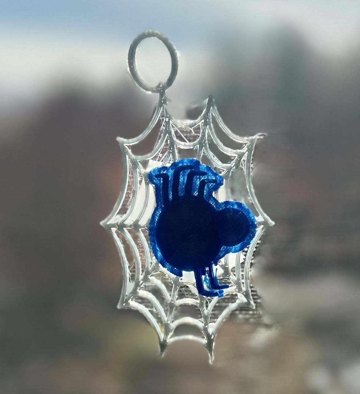 Spiders and Their Webs : 5 Steps - Instructables