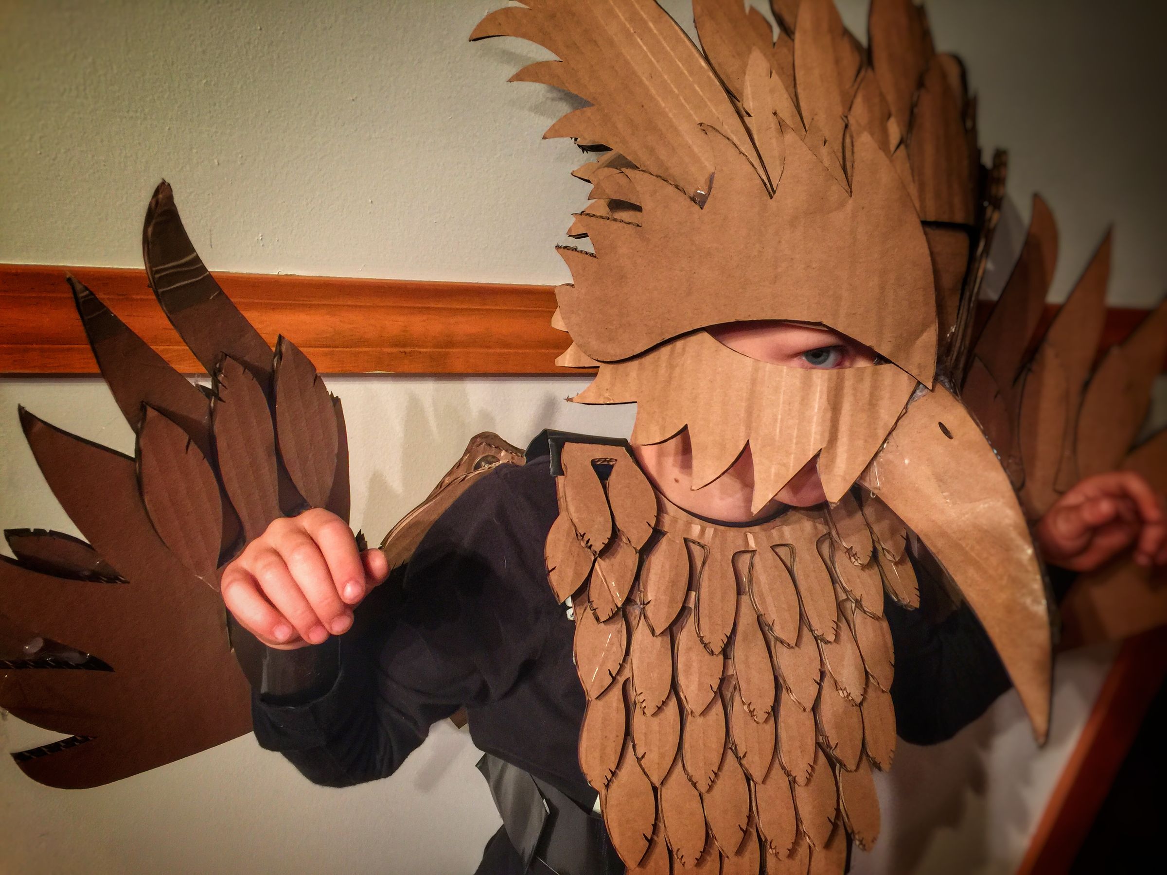 Cardboard Bird Man Costume With Wings : 4 Steps (with Pictures ...