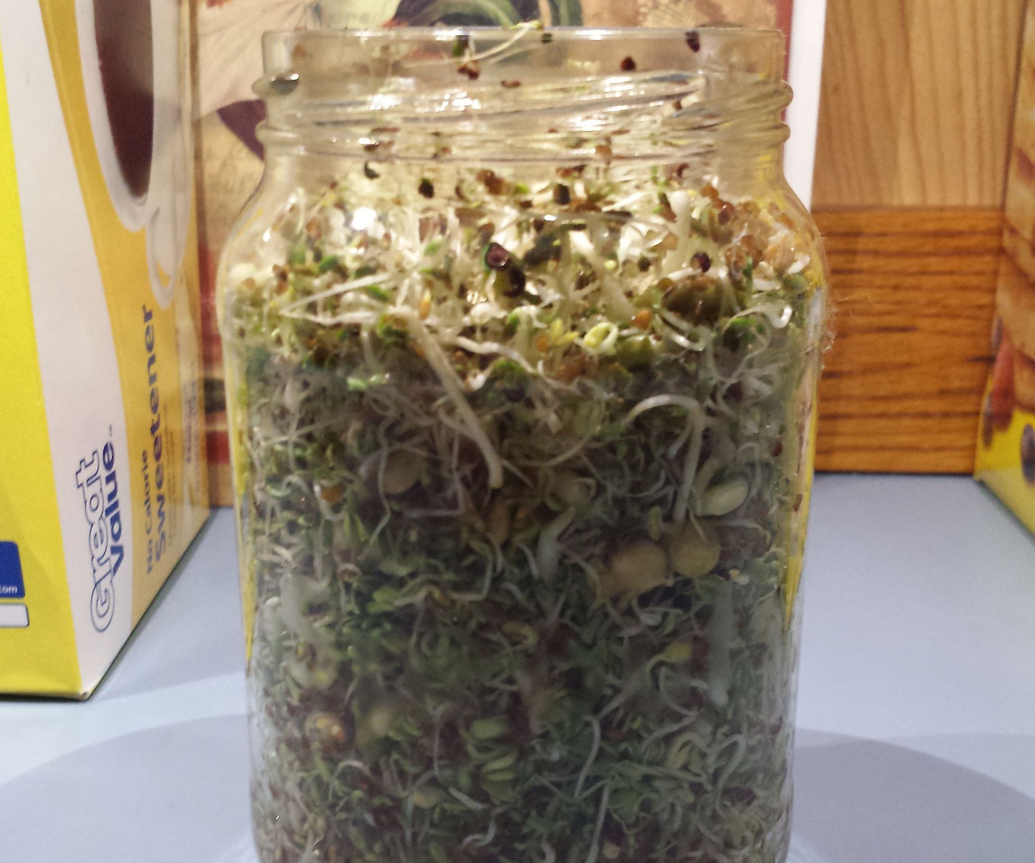 How to Grow Sprouts in a Glass Jar : 3 Steps (with Pictures ...