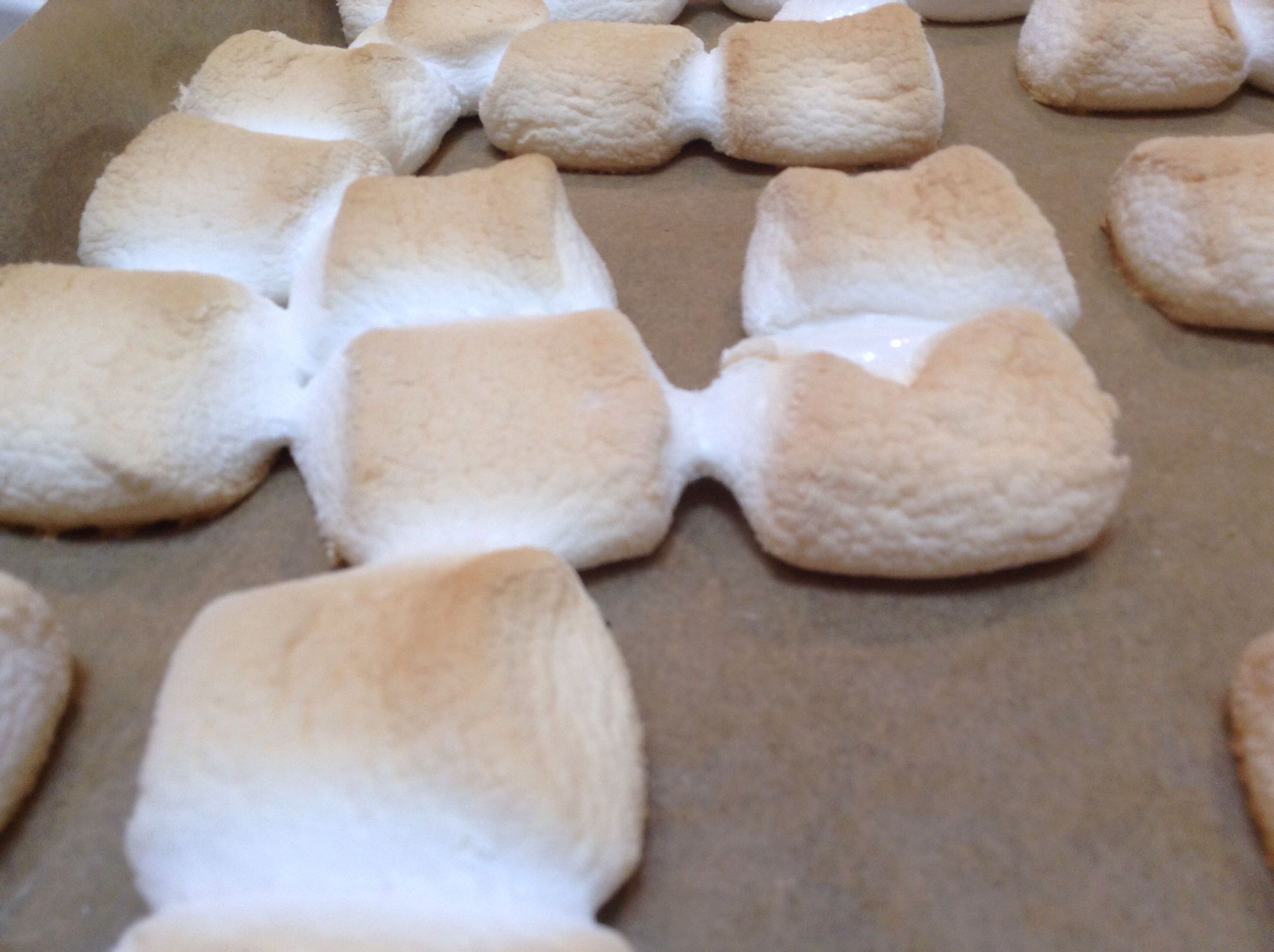 Rainy Day Quick and Easy Oven Roasted Marshmallows : 4 Steps ...
