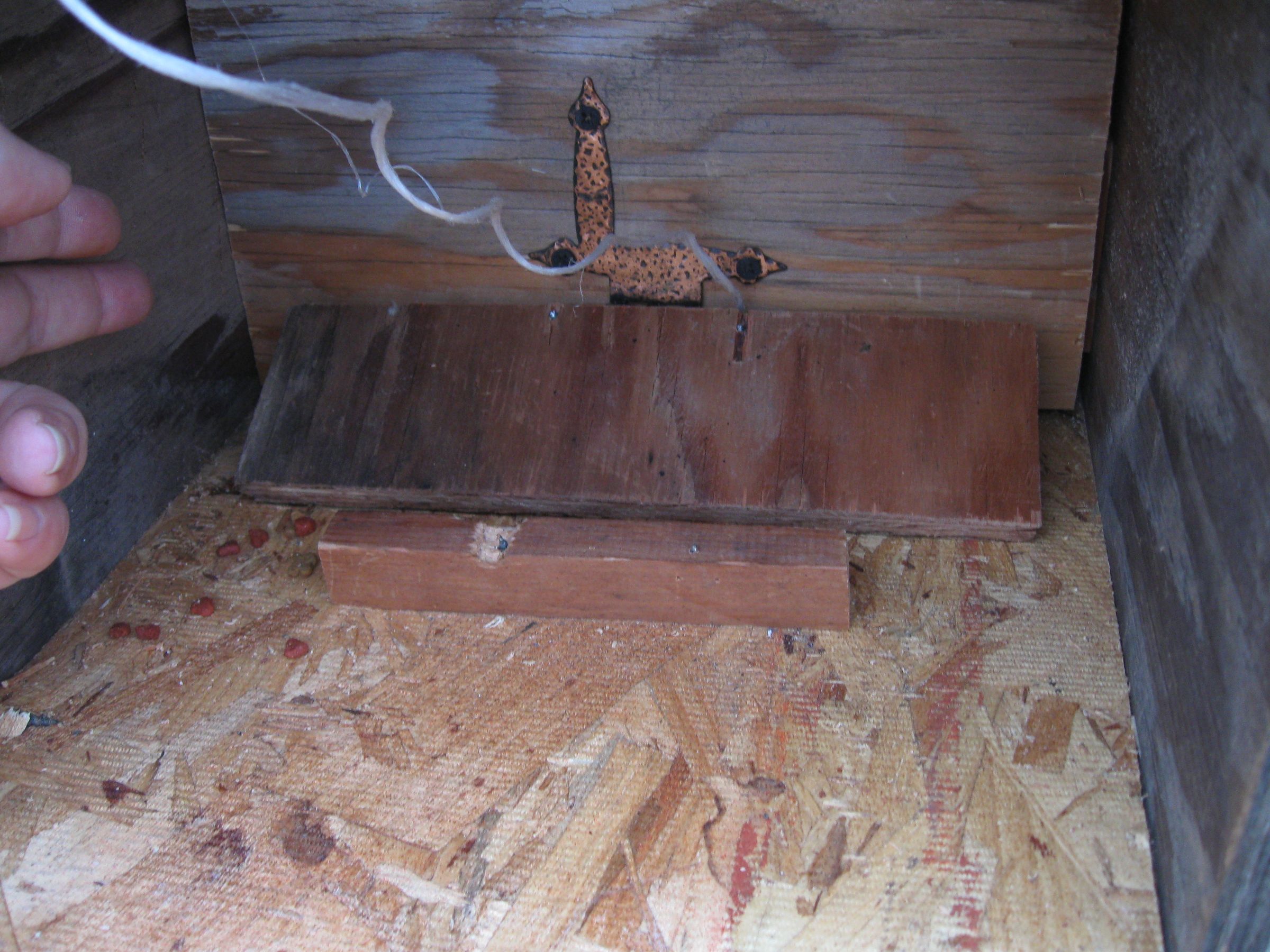 Free "Catch'em Live" Trap : 12 Steps (with Pictures) - Instructables