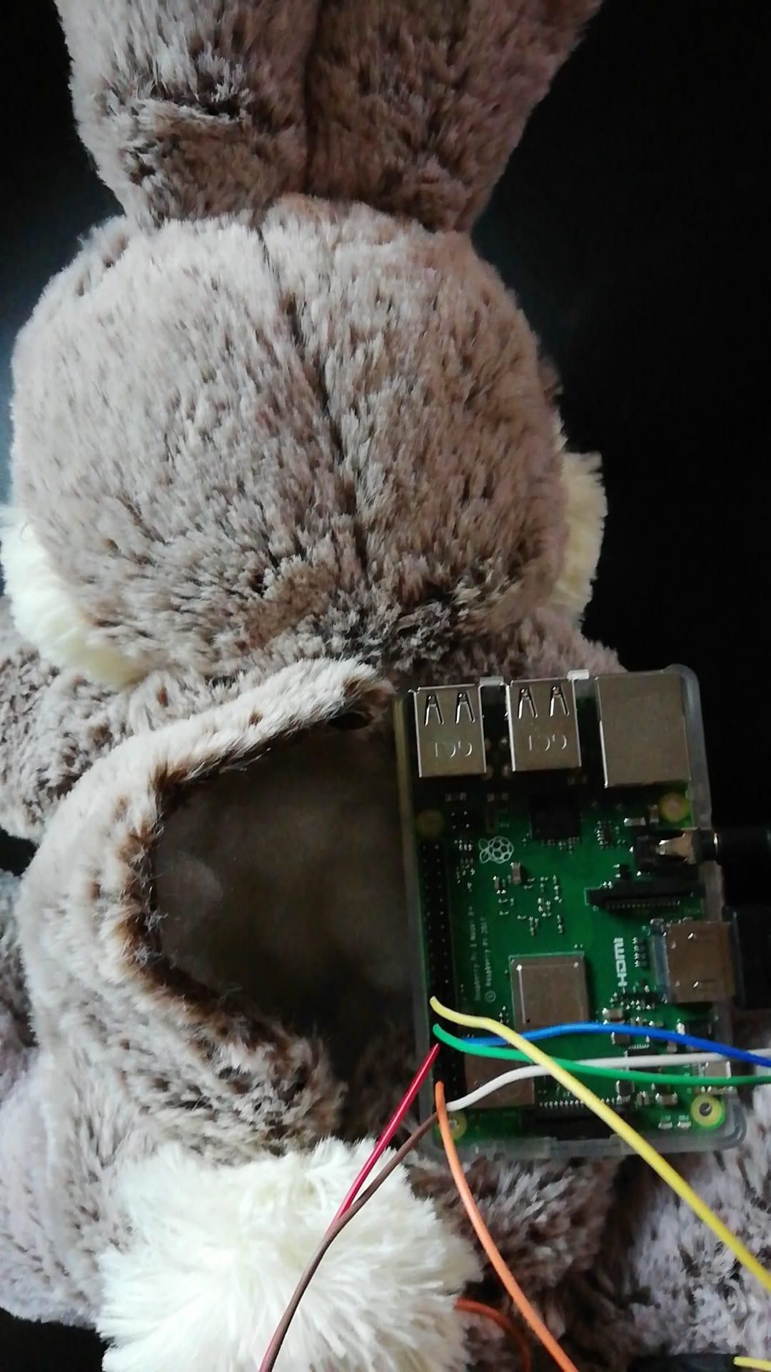 Neurotic Robot : 5 Steps - Instructables